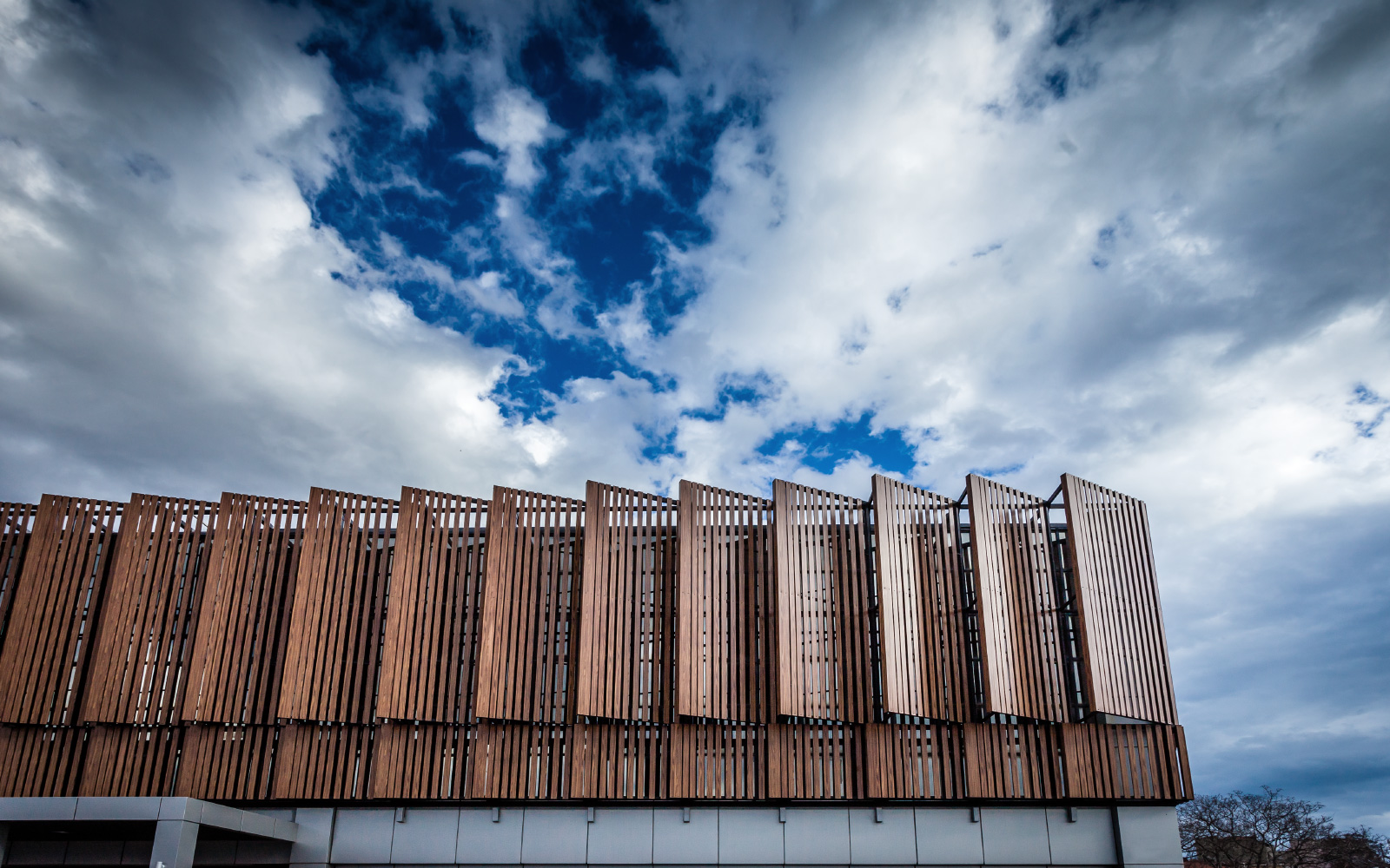 GRAND masoutis supermarket store by leaf architects studio - Architizer