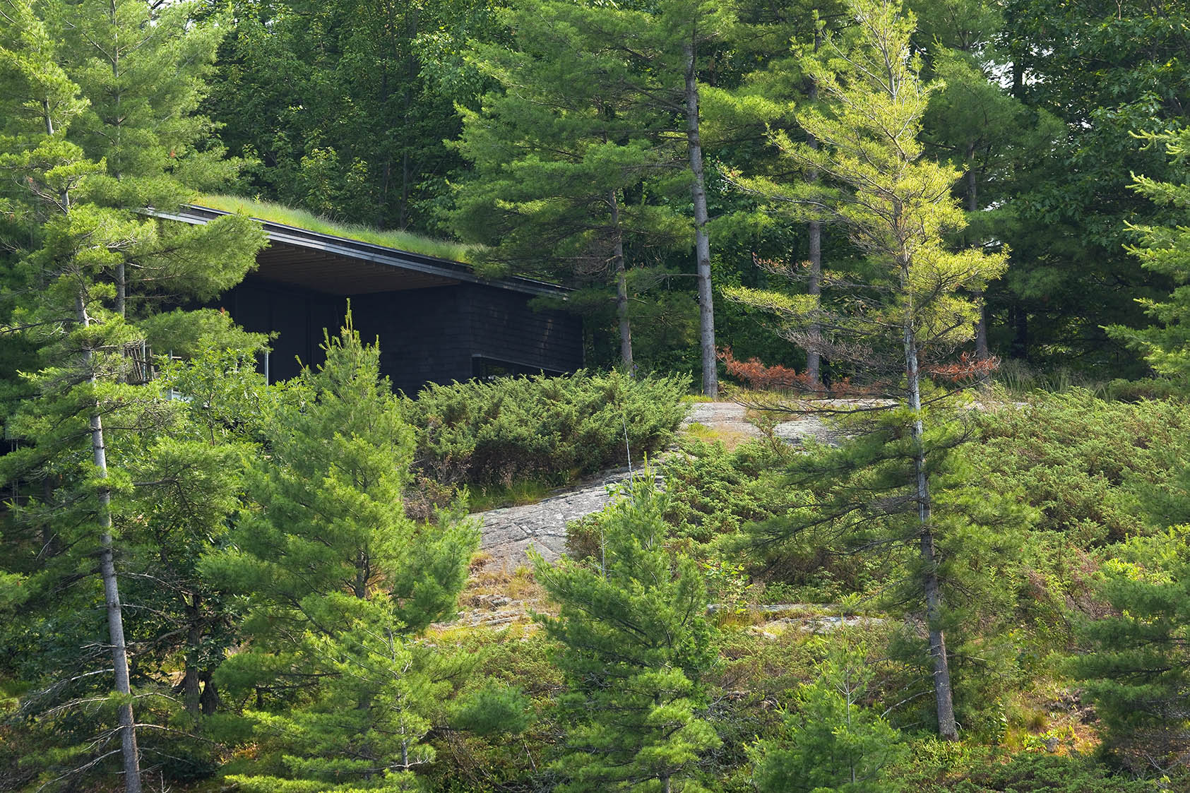 Go Home Bay Cabin by Ian MacDonald Architect Inc - Architizer