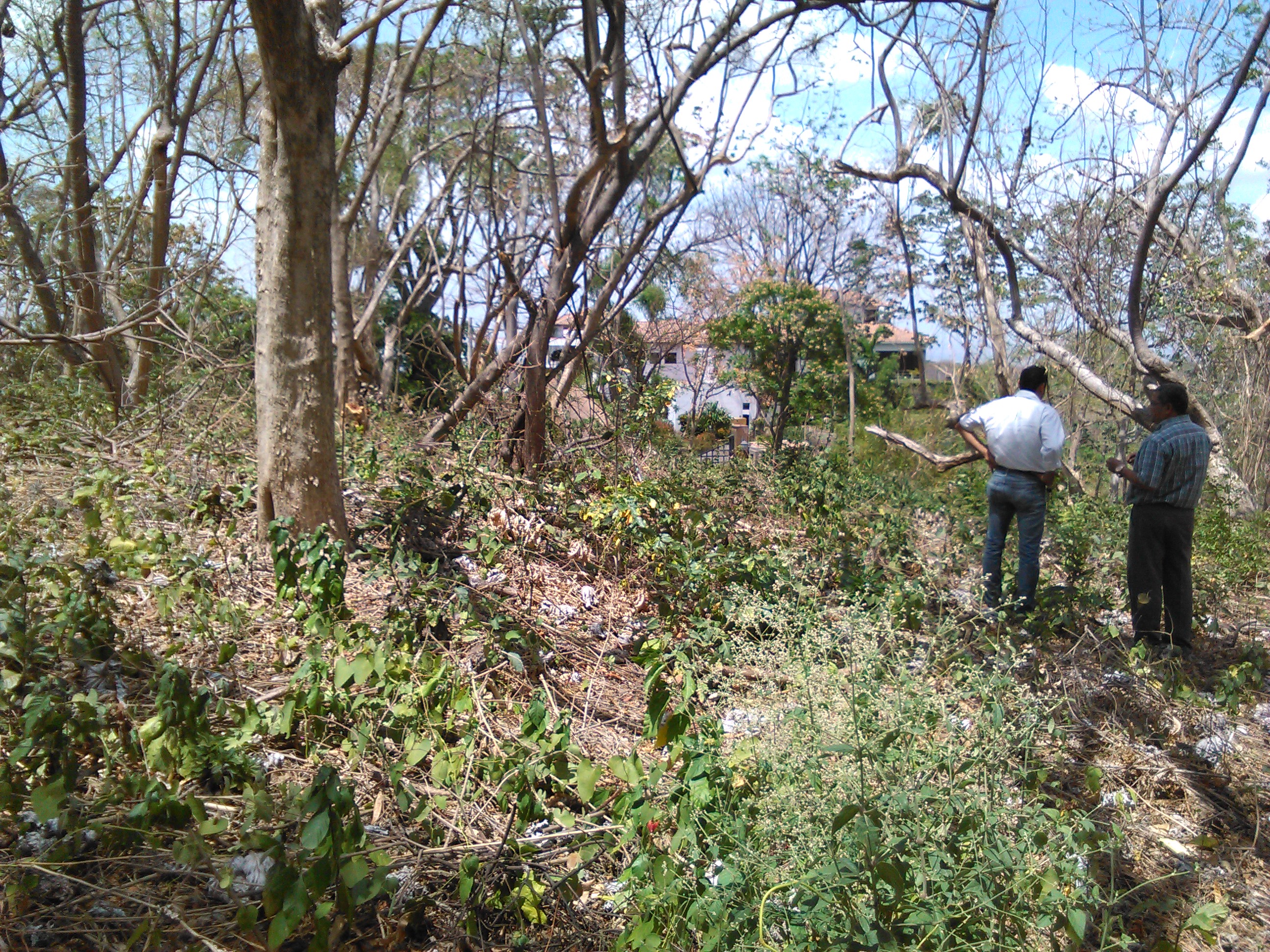 Residencia Rj16 by Won arquitectos - Architizer