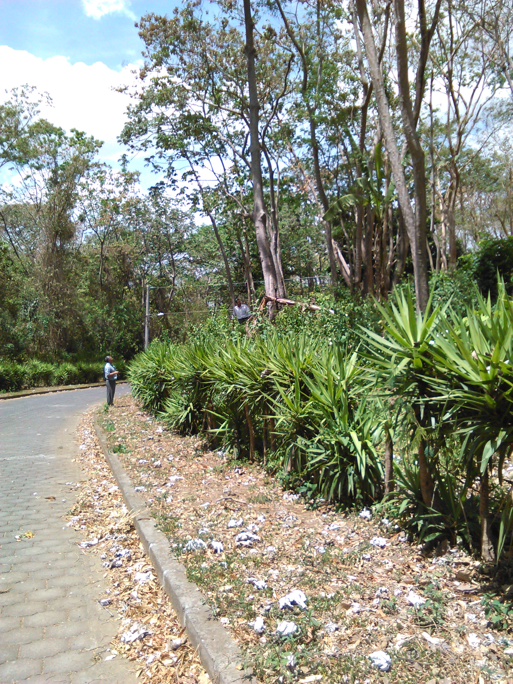 Residencia Rj16 by Won arquitectos - Architizer