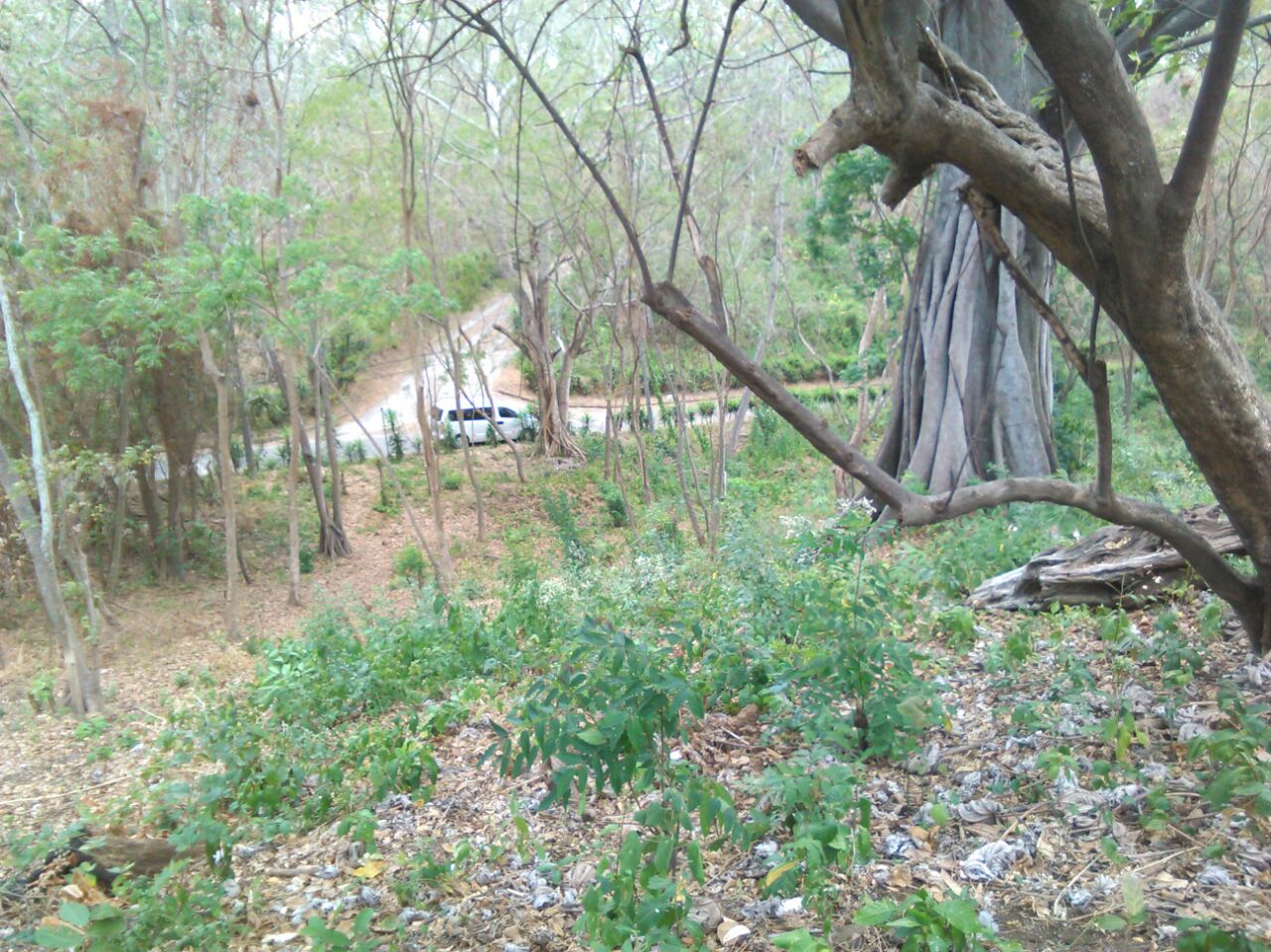 Residencia Rj16 by Won arquitectos - Architizer