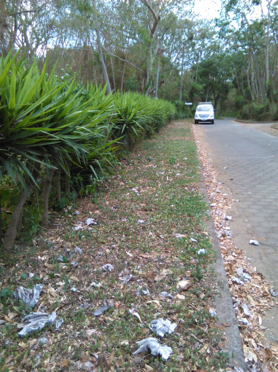 Residencia Rj16 by Won arquitectos - Architizer