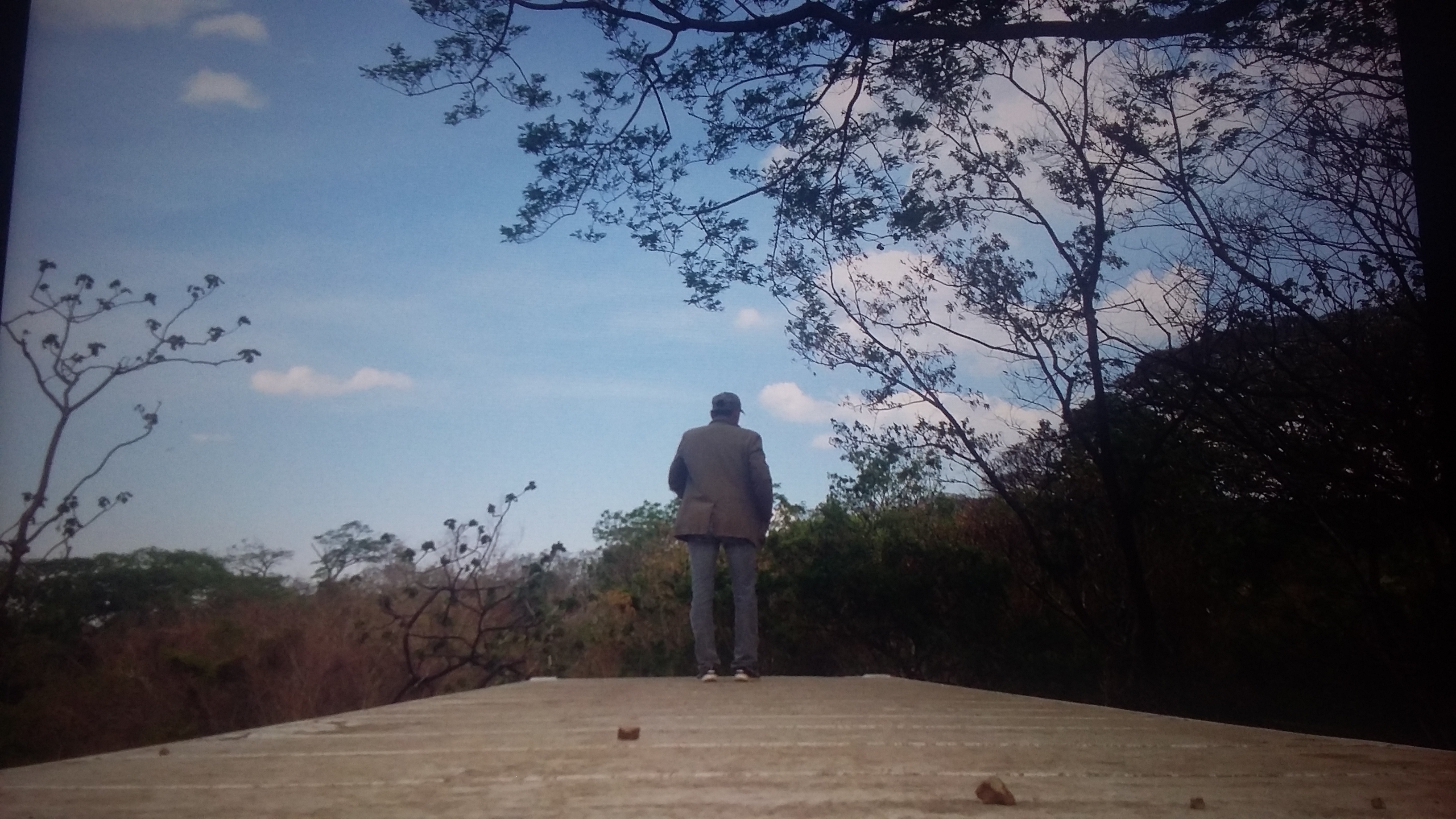 Residencia Rj16 by Won arquitectos - Architizer