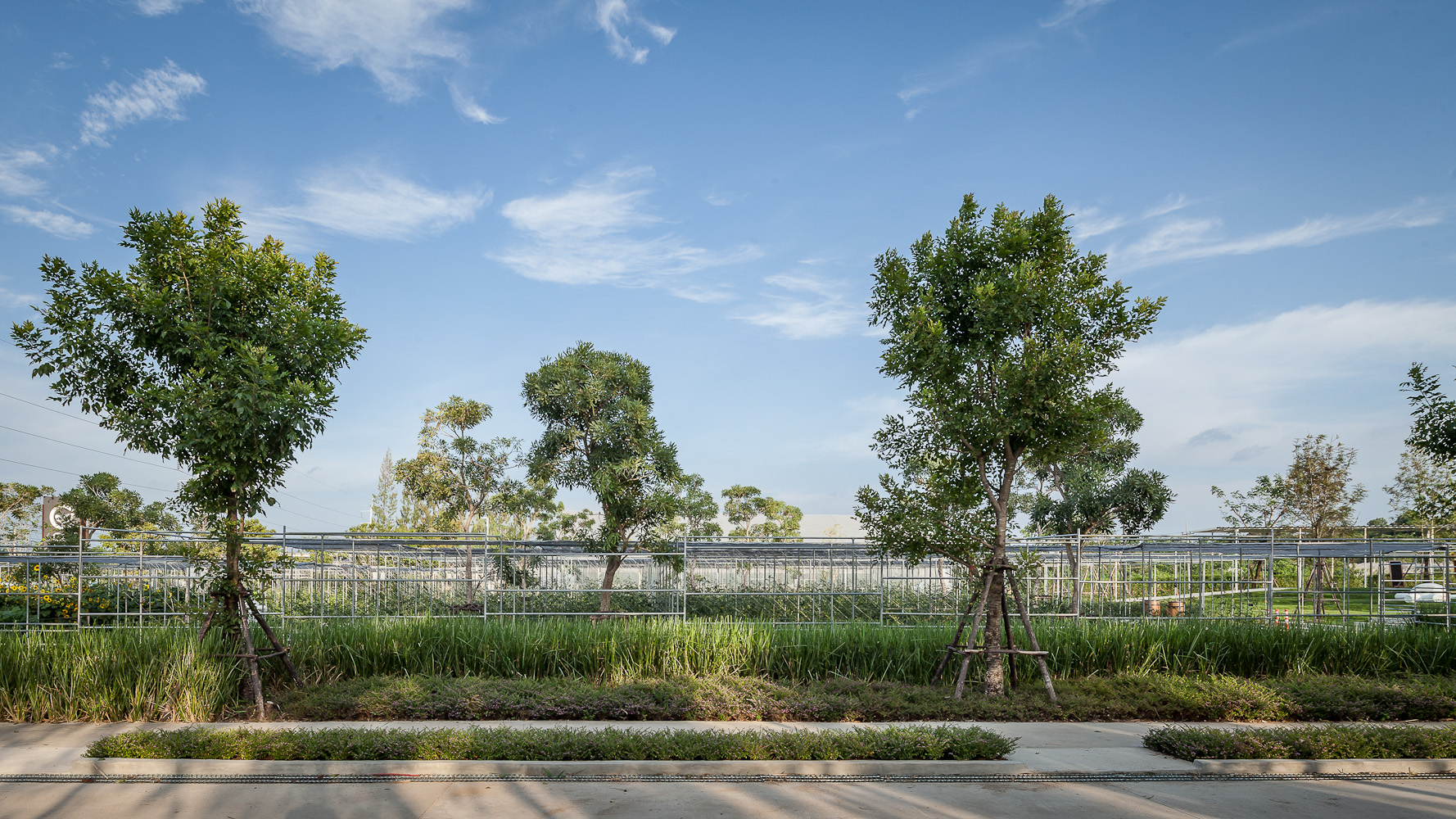 Coro Field : Phase 1 by IF (Integrated Field co.,ltd) - Architizer