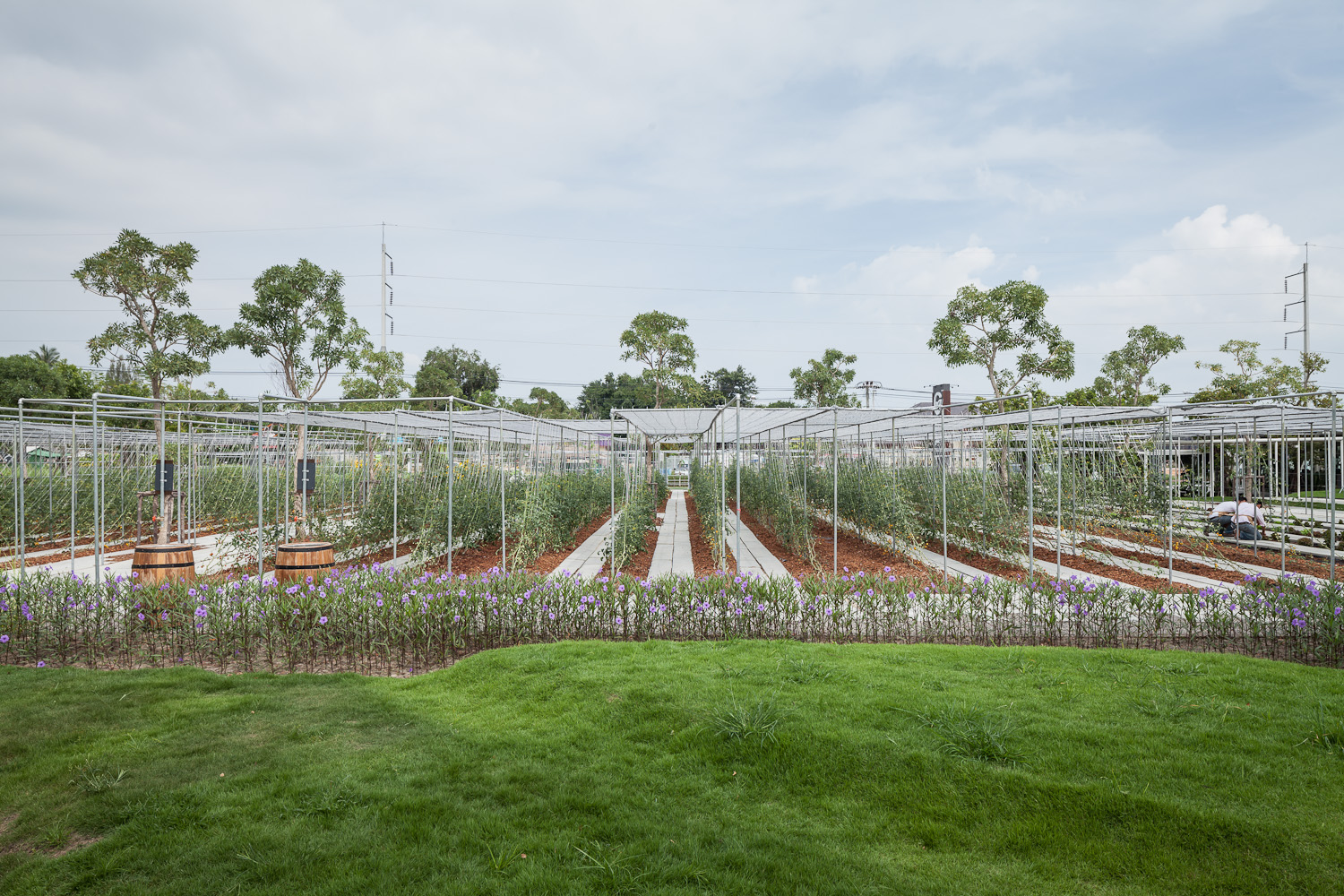 Coro Field : Phase 1 by IF (Integrated Field co.,ltd) - Architizer