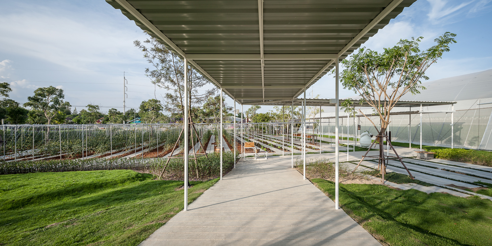 Coro Field : Phase 1 by IF (Integrated Field co.,ltd) - Architizer