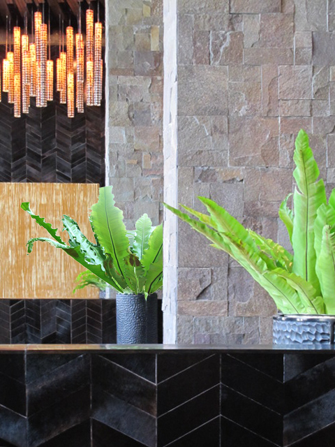 FIRE | W Bali by Poole Associates Private Limited - Architizer