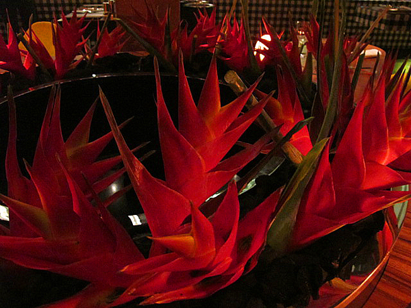 FIRE | W Bali by Poole Associates Private Limited - Architizer