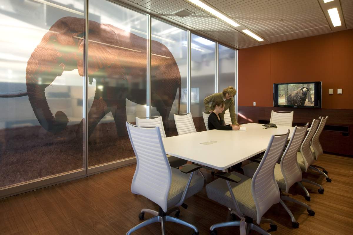 World Headquarters of the International Fund for Animal Welfare by ...