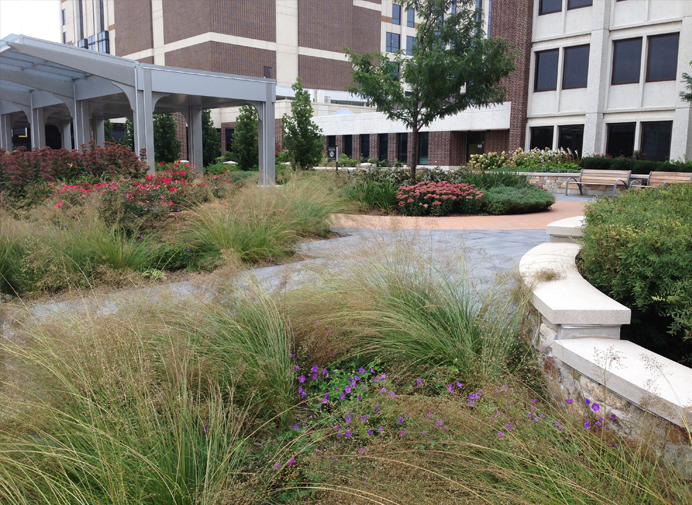 Palos Community Hospital Landscape by Jacobs Ryan Associates - Architizer