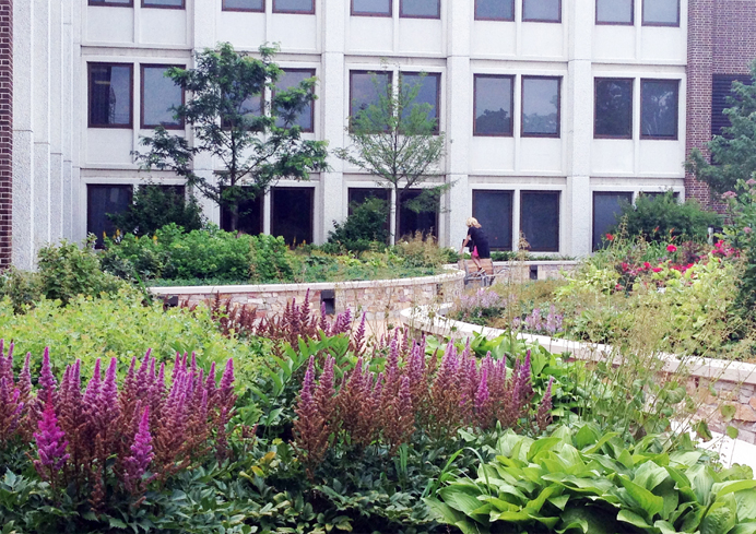 Palos Community Hospital Landscape by Jacobs Ryan Associates - Architizer