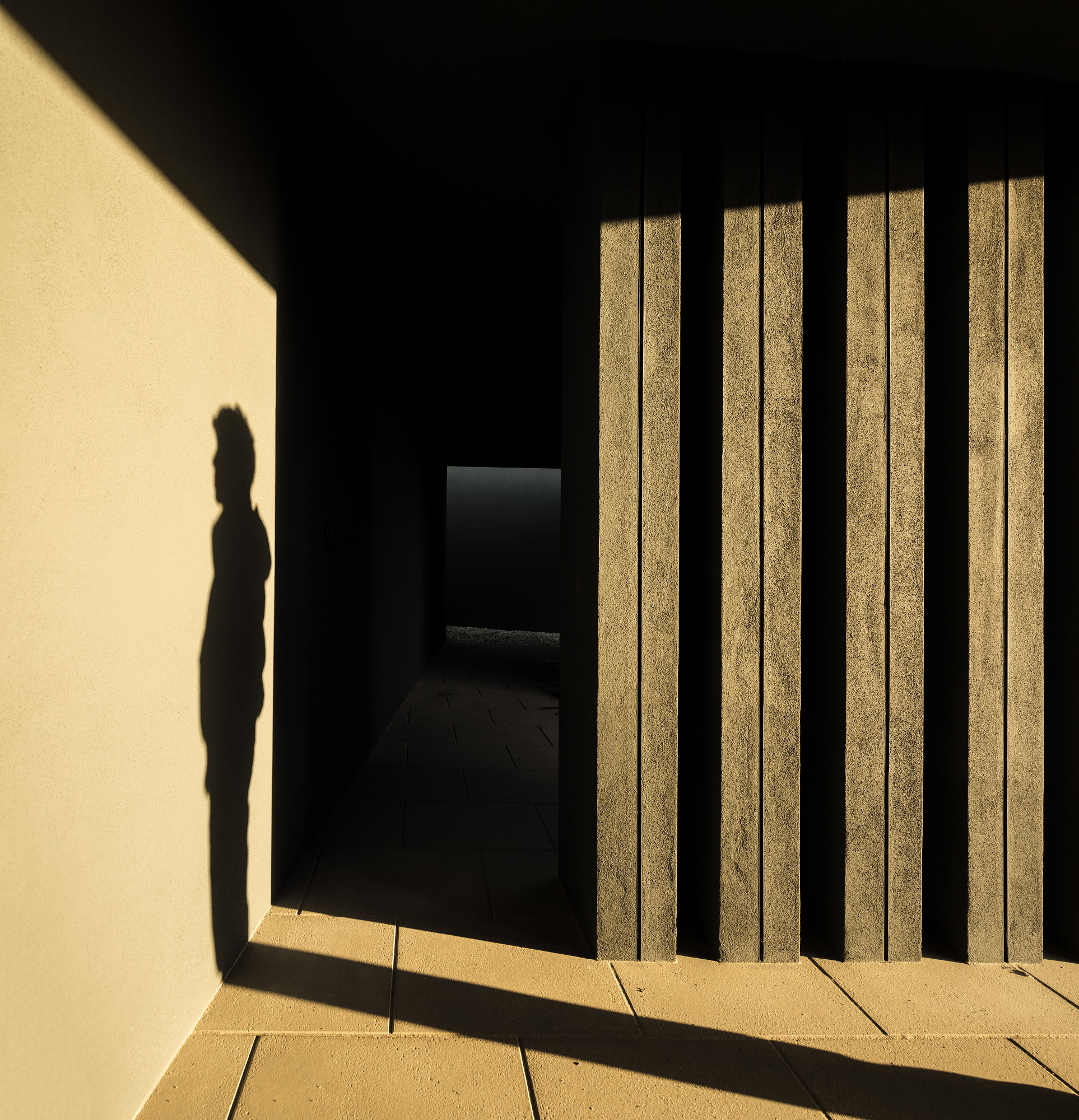 Amélia's House - Architizer