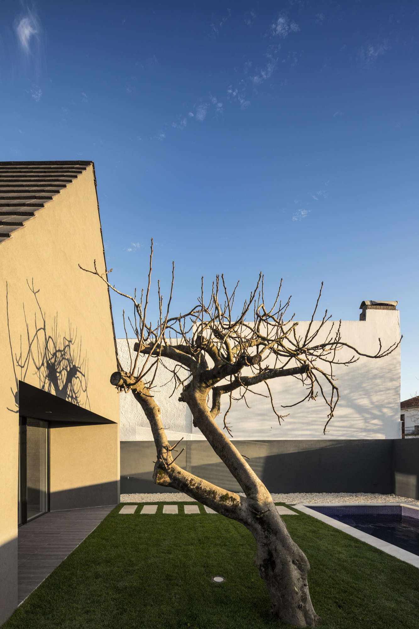 Amélia's House - Architizer