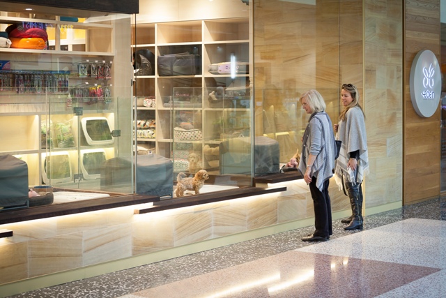 Pampered Petz by Rptecture Architects - Architizer