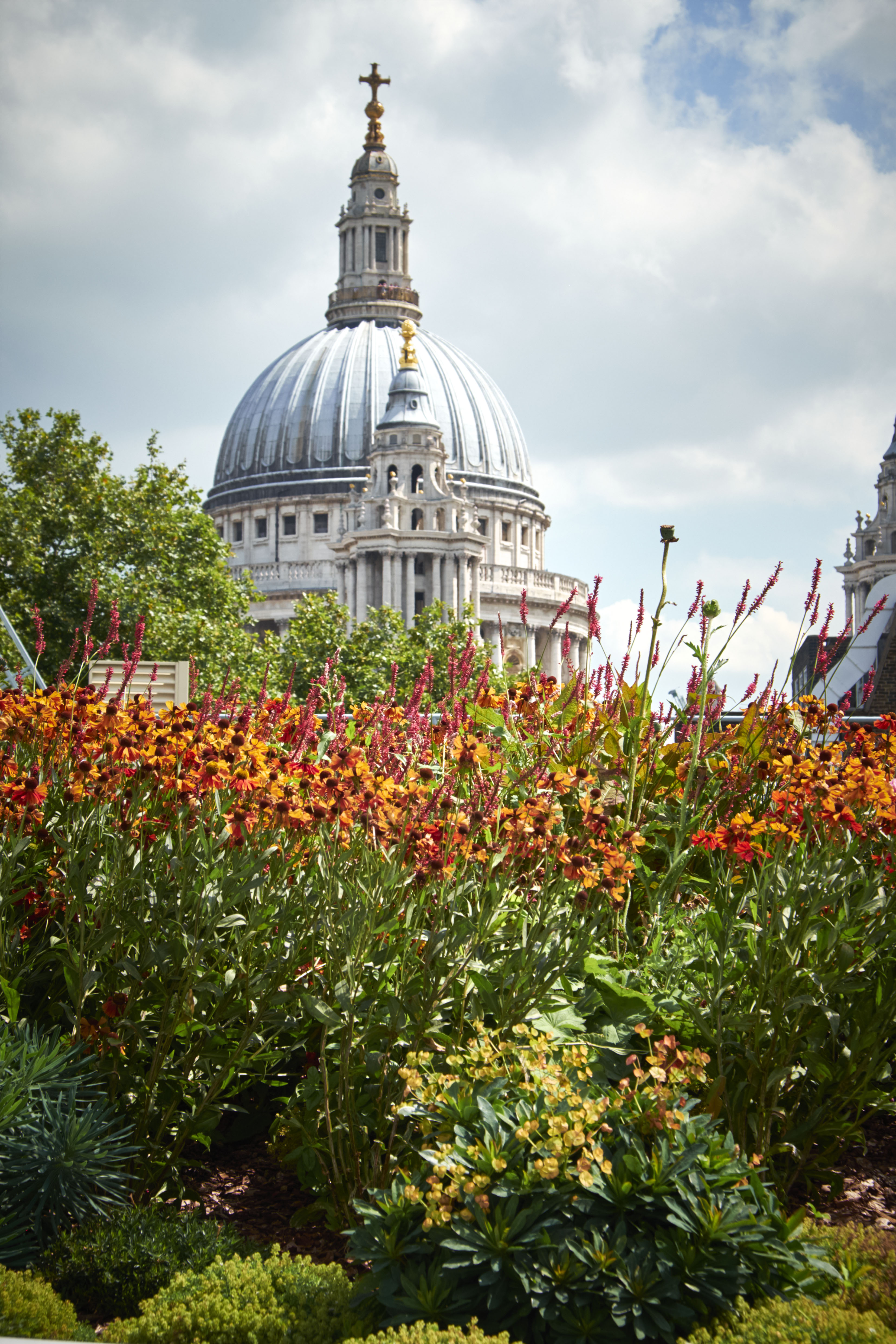 Barking Riverside Landscape Masterplan by Gustafson Porter - Architizer