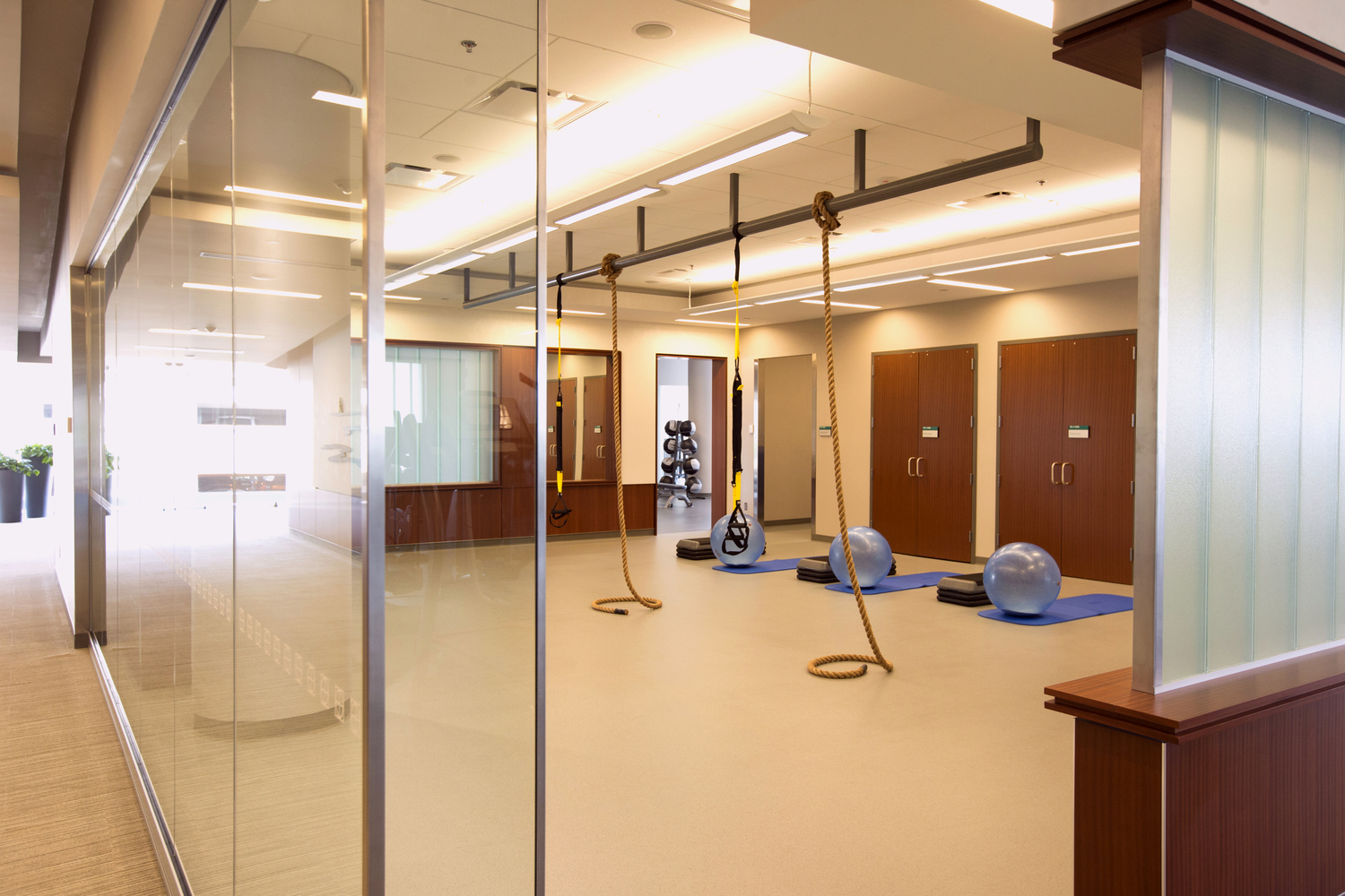 Mayo Clinic - Dan Abraham Healthy Living Center Expansion by BWBR ...