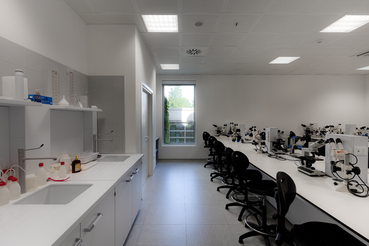 New Chemical Laboratories by EXiT architetti associati - Architizer