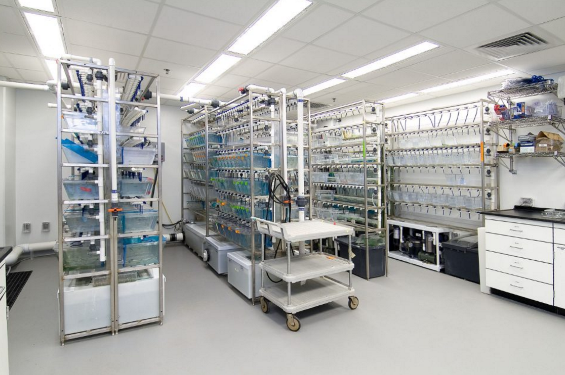 University of Michigan, Biomedical Science Research Building by Ennead ...