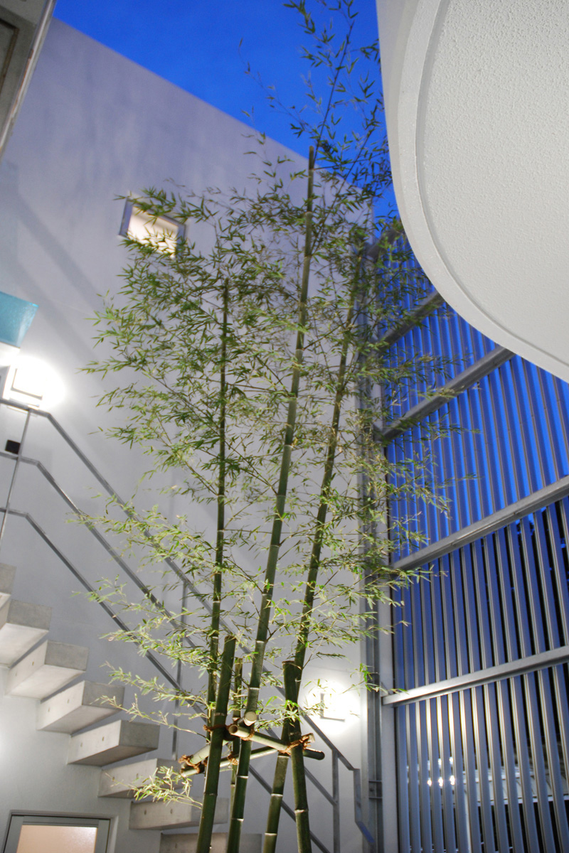 Void in a Forest by YDS Architects - Architizer