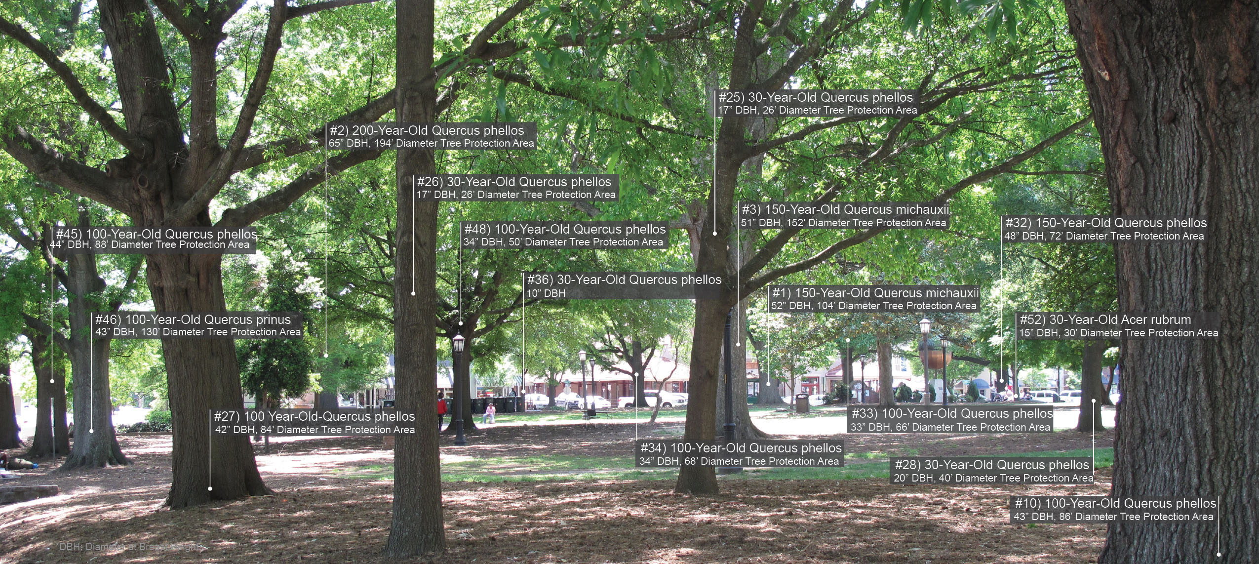 Moore Square Master Plan by Counts Studio - Architizer