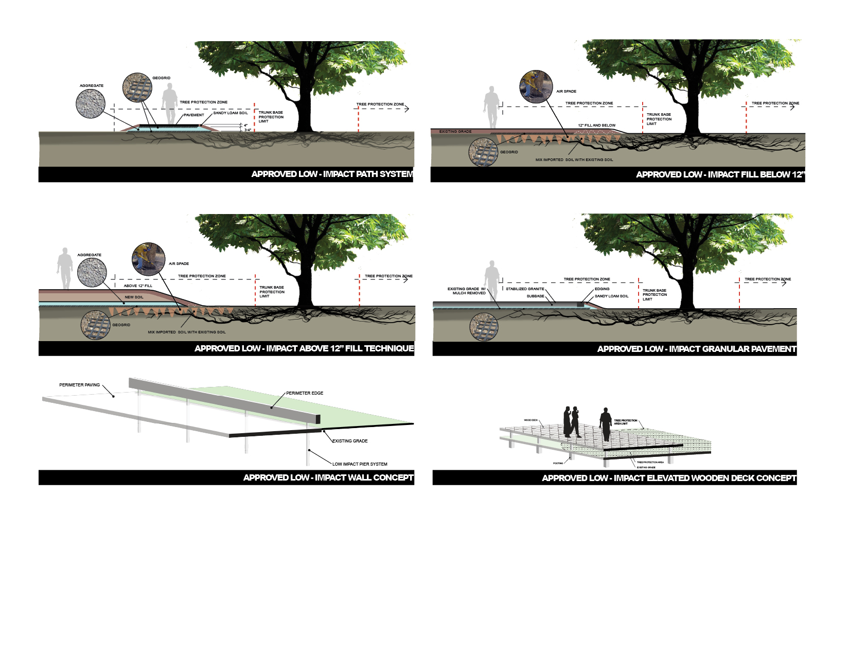 Moore Square Comprehensive Tree Strategy by Counts Studio - Architizer