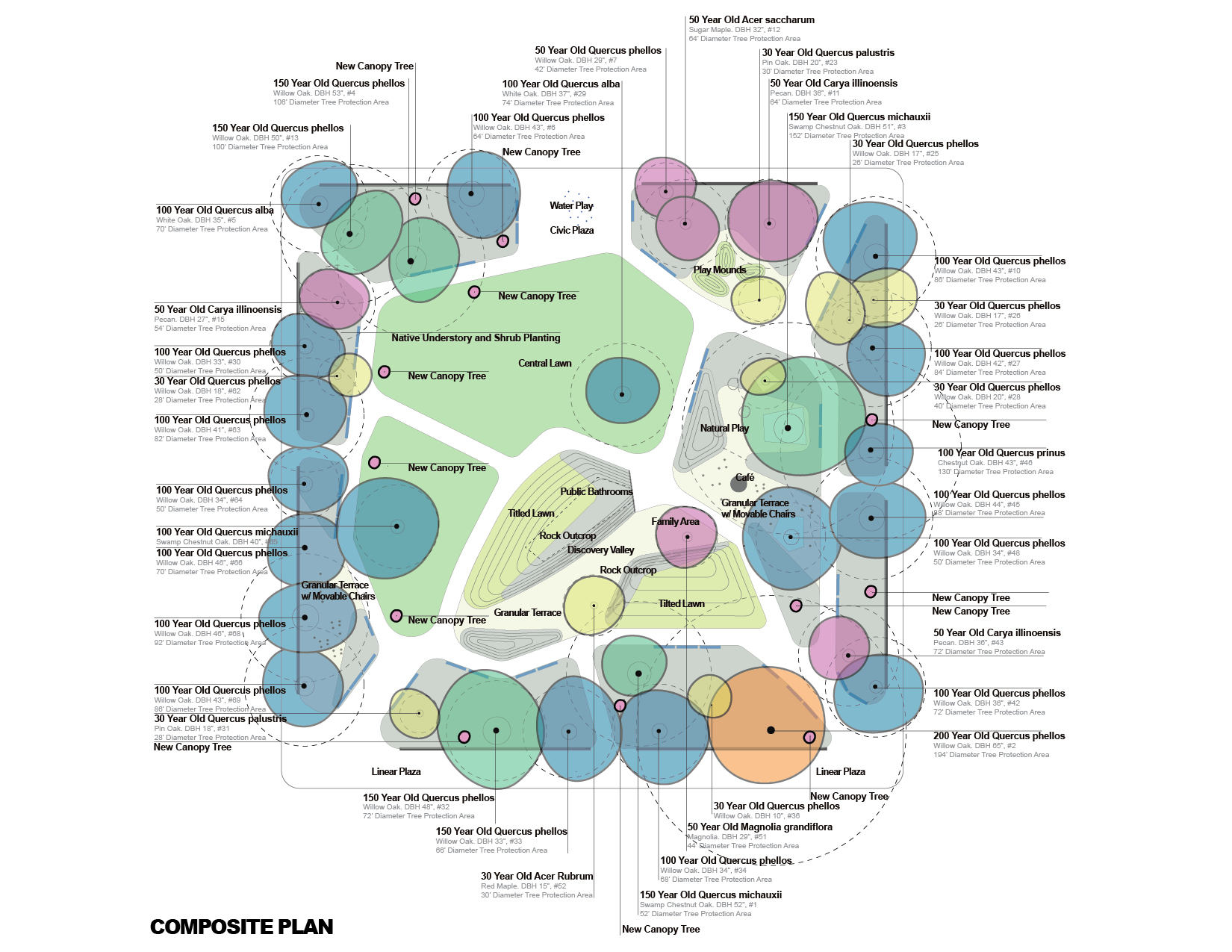 Moore Square Comprehensive Tree Strategy by Counts Studio - Architizer