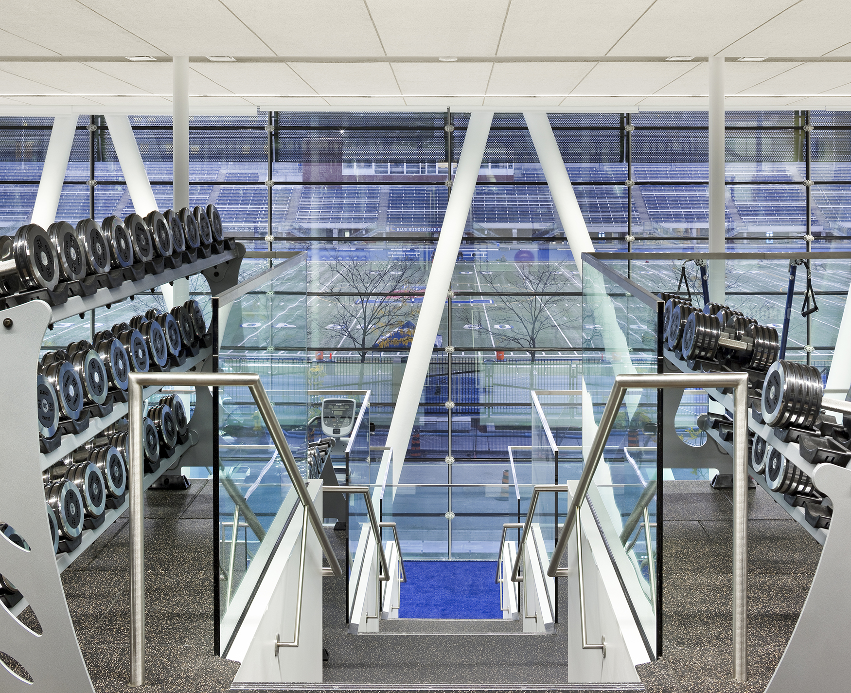 Goldring Centre for High Performance Sport, University of Toronto by ...