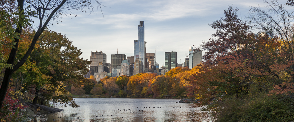 The Clarient Group - Architizer