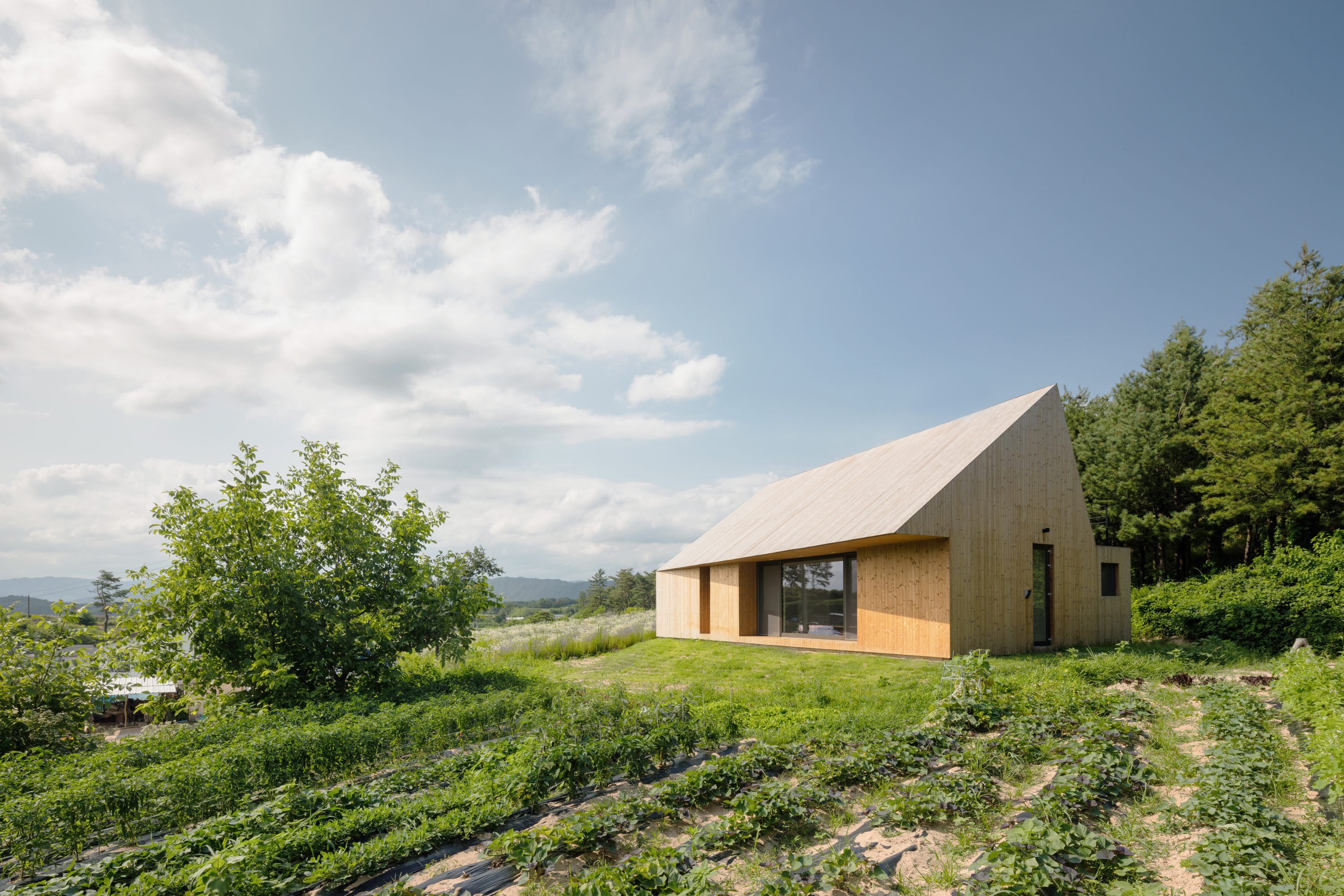 Shear House by stpmj - Architizer
