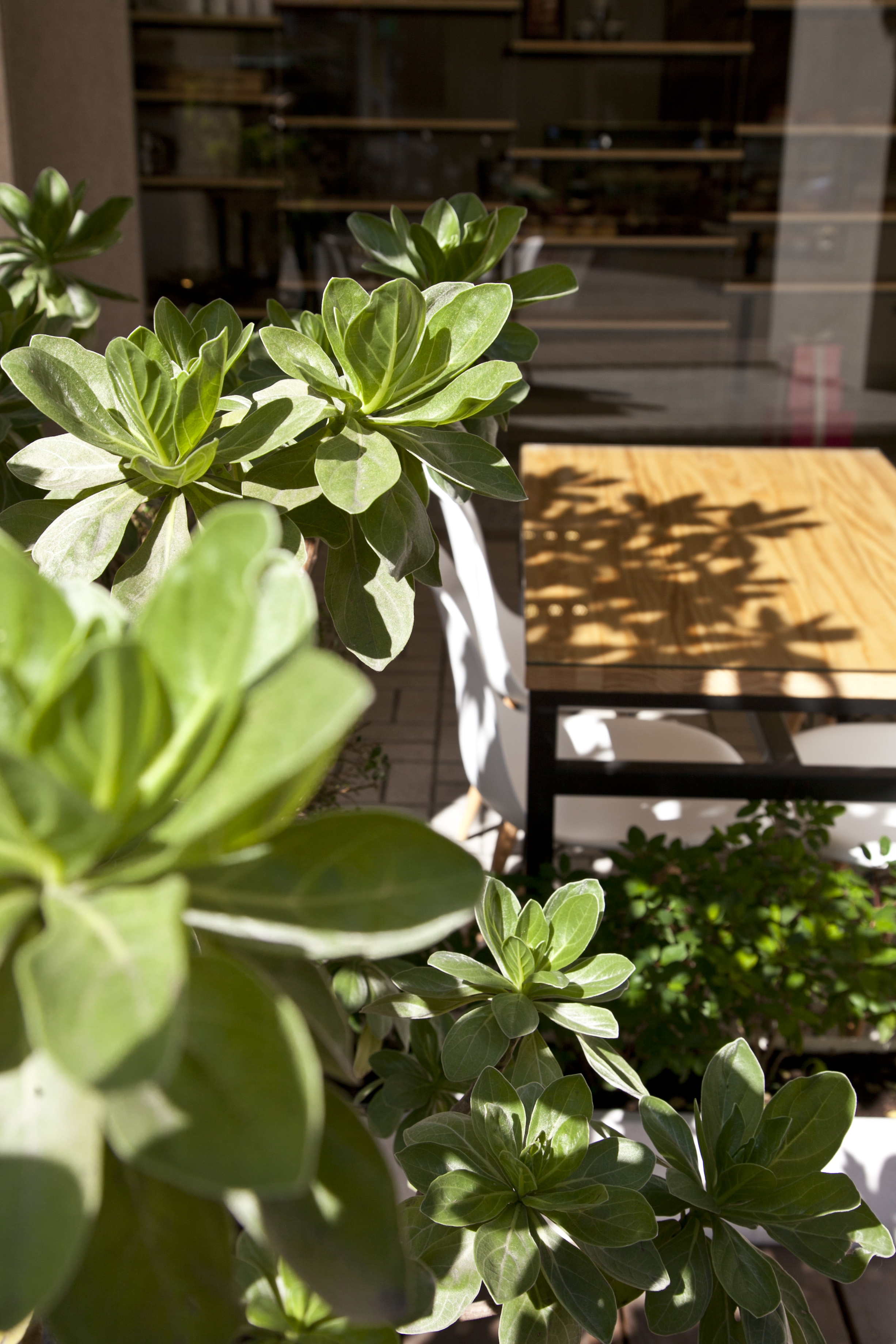 Remy House Bakery by 布希先生空間設計 (Ryan Lai's Design) - Architizer