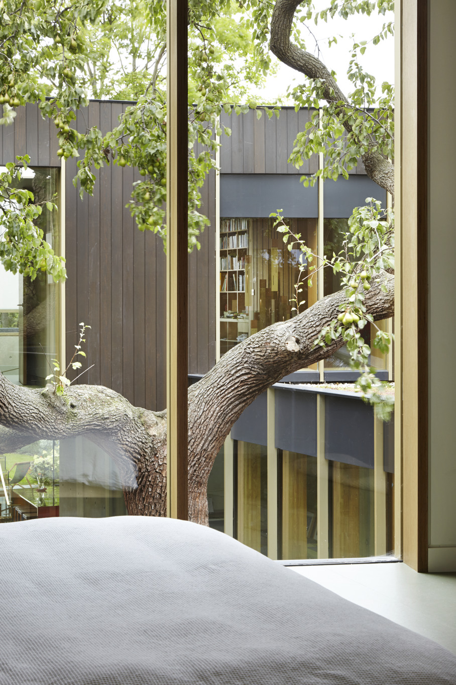 Pear Tree House by Edgley Design - Architizer