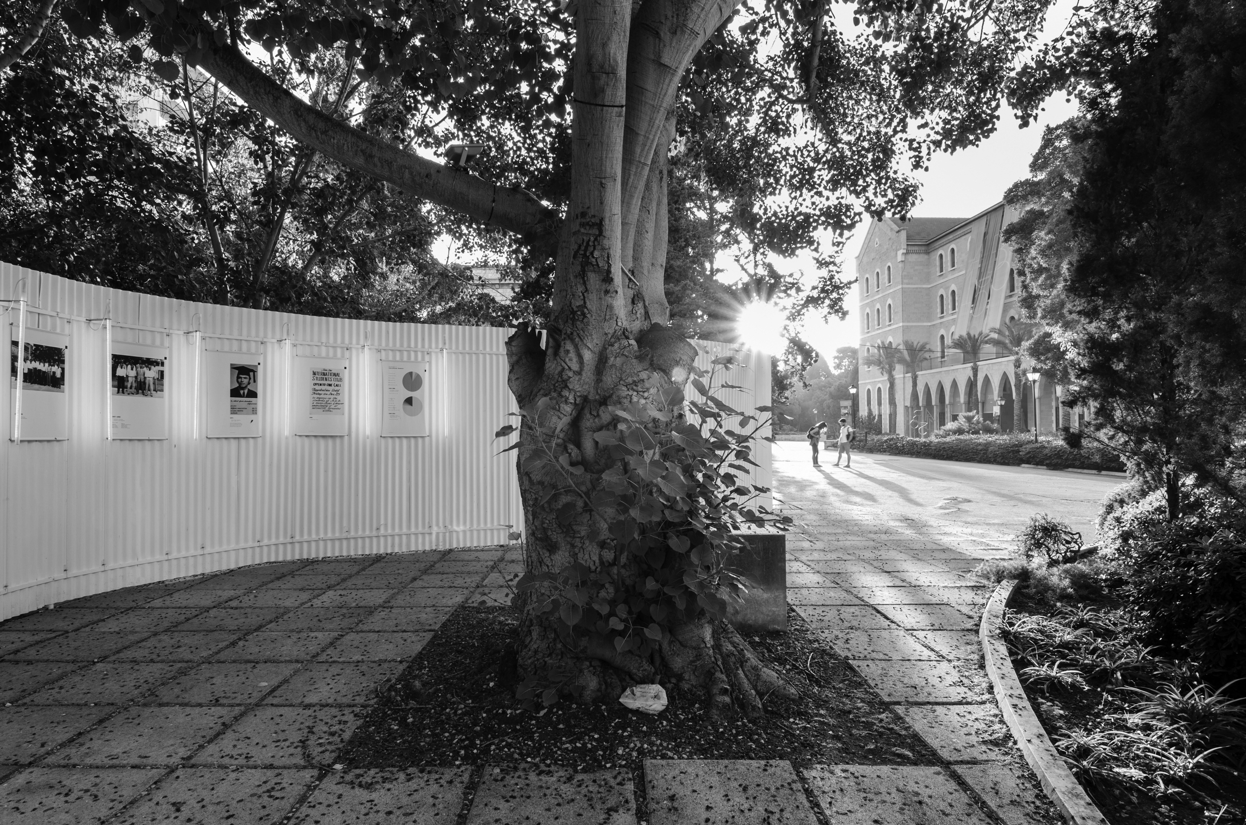 AUB Assembly Hall Garden Pavilion by GHAITH&JAD - Architizer