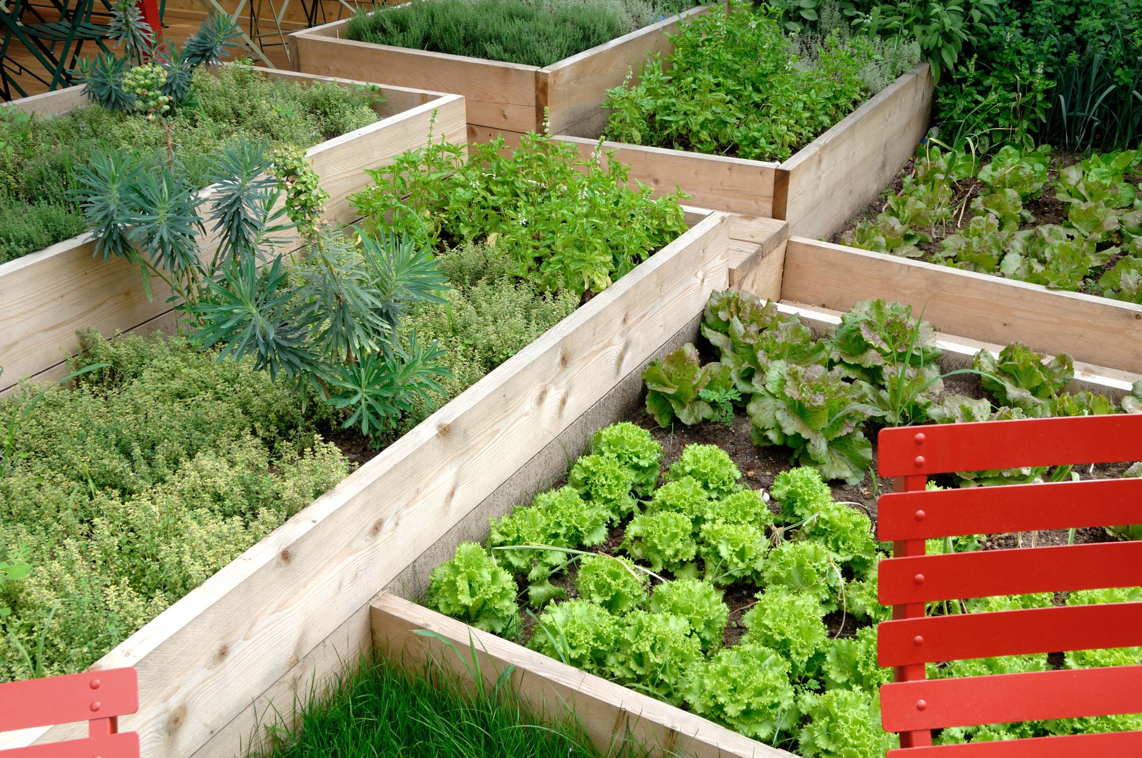 Erba Brusca by rgastudio - Architizer