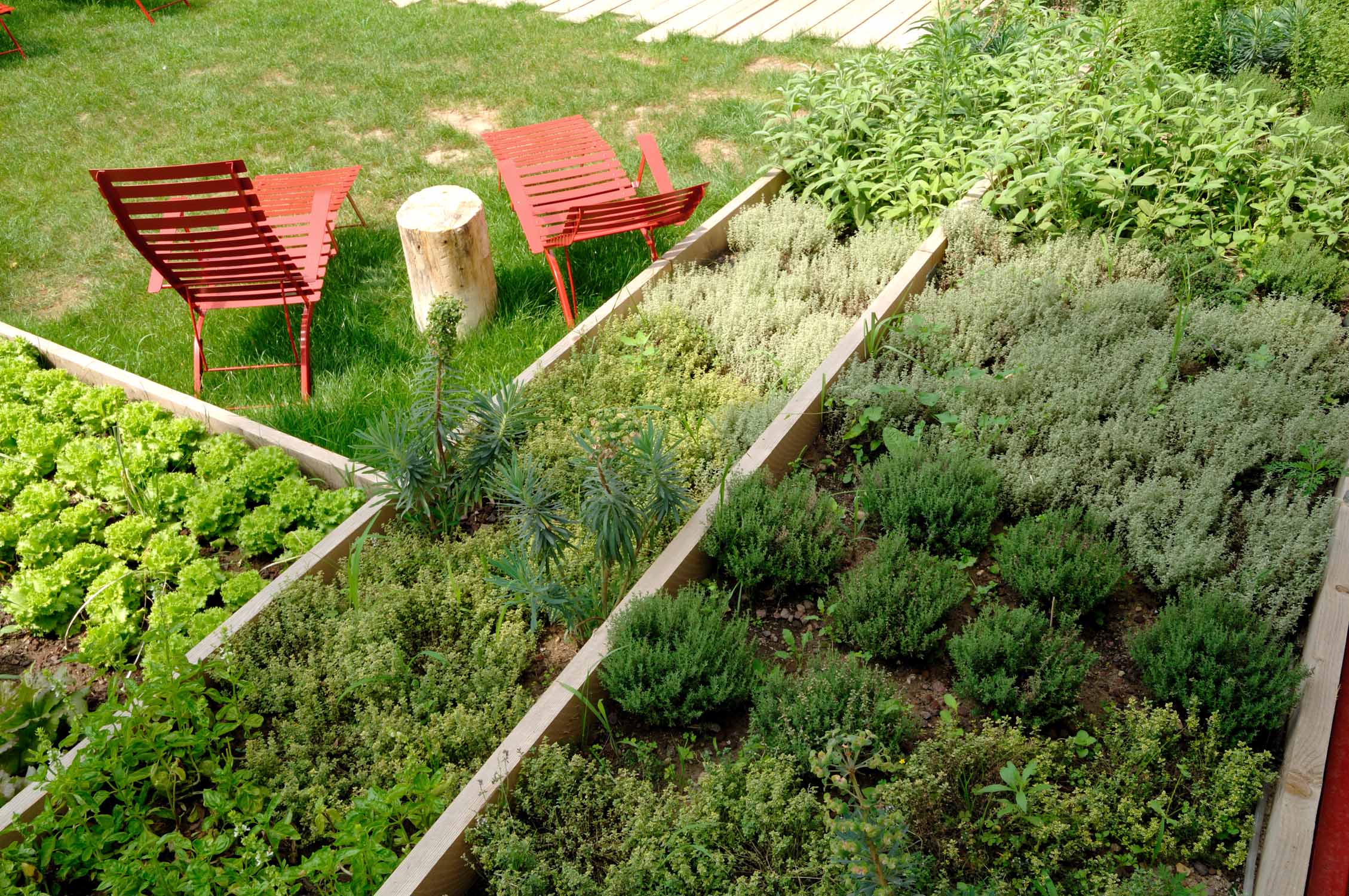 Erba Brusca by rgastudio - Architizer