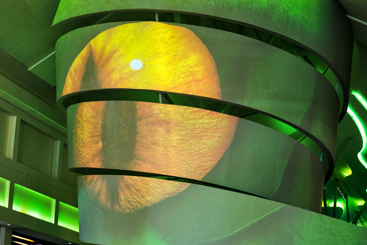 IMX - Immersive Experience by ACT LIGHTING DESIGN - Architizer