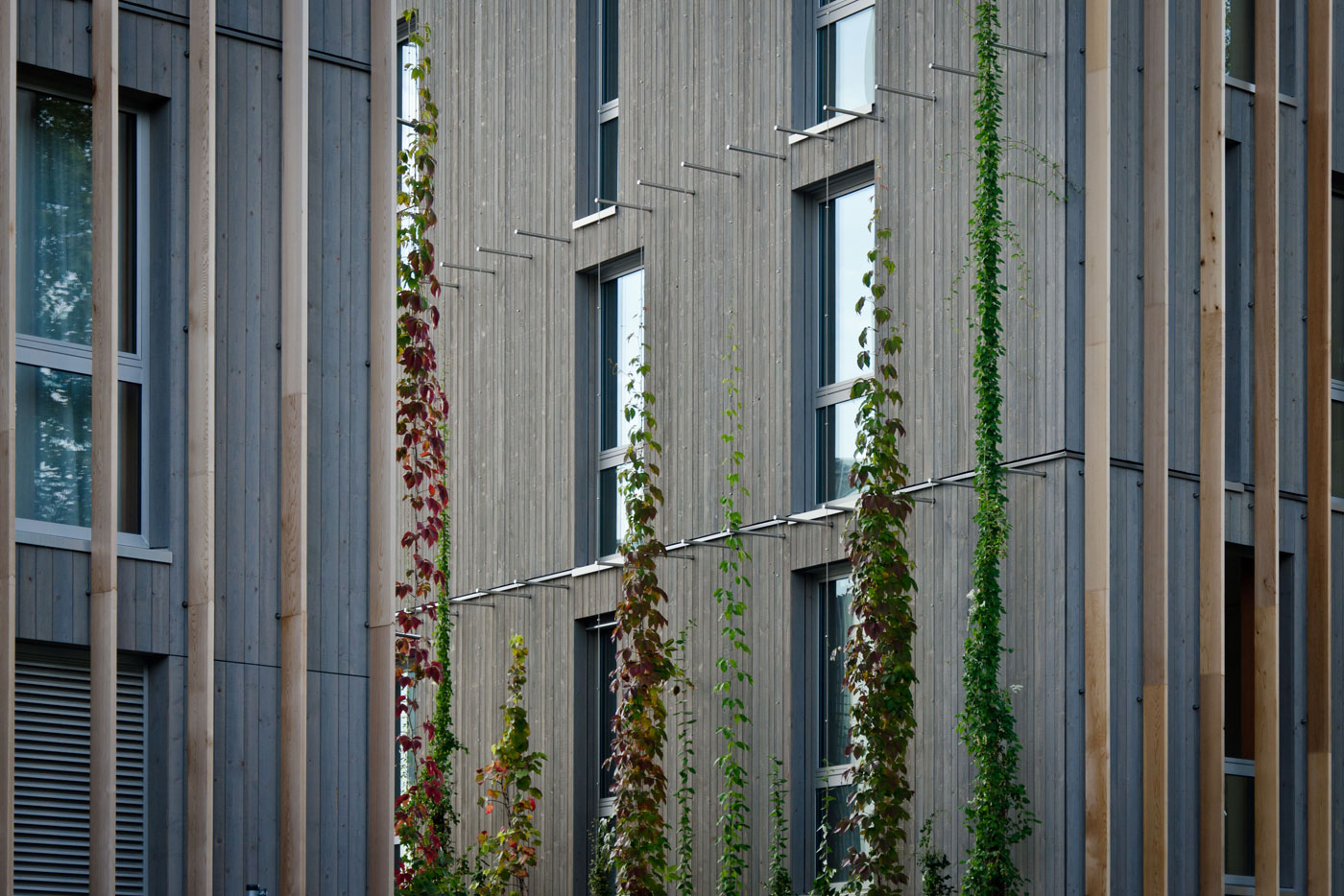 TRUTEC Building, Seoul, Korea by Barkow Leibinger - Architizer