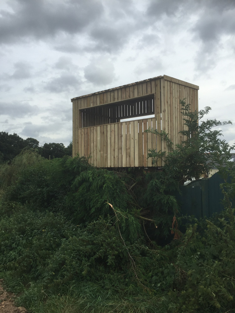 Tree Hut by F31 - Architizer