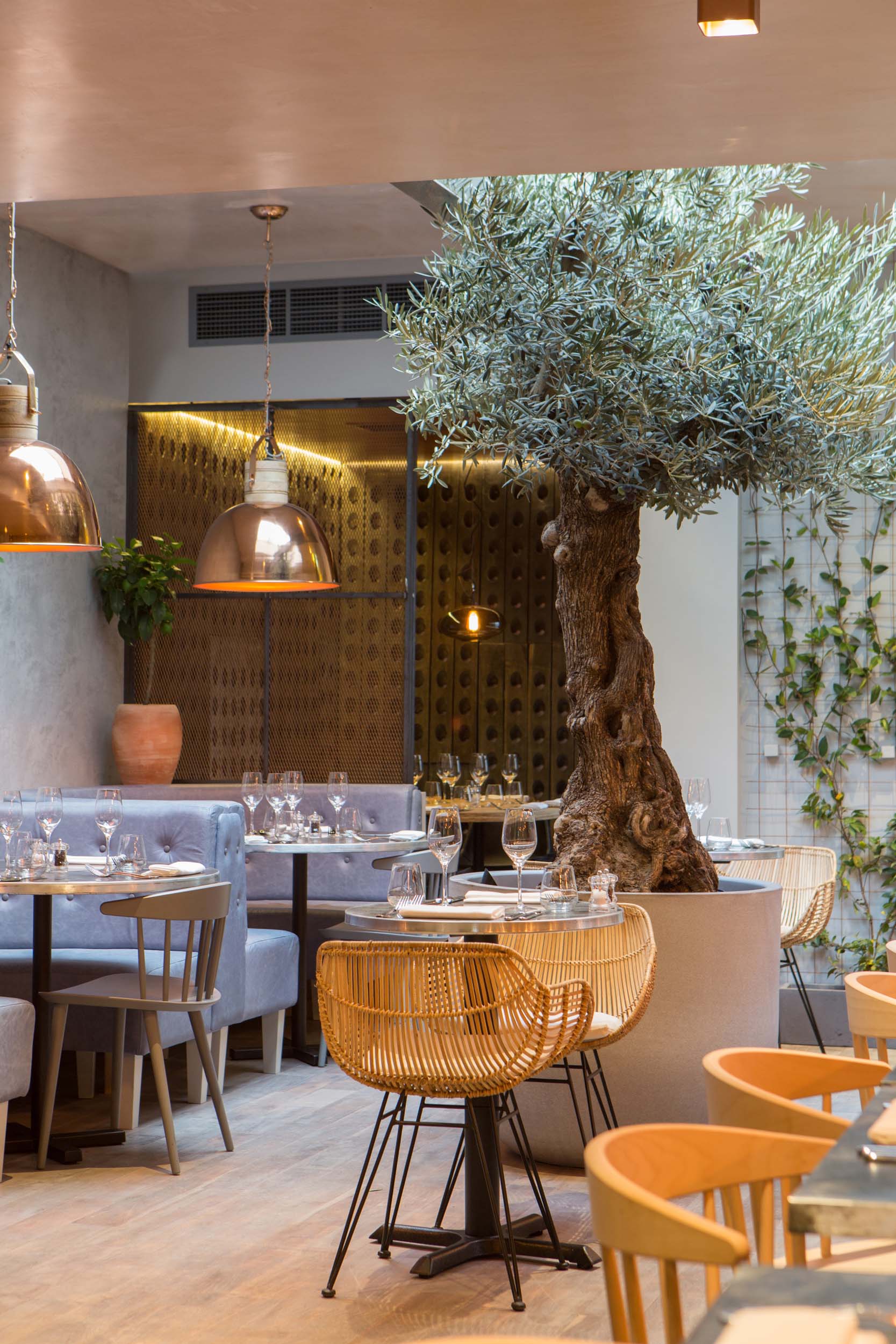 Bandol by Kinnersley Kent Design - Architizer