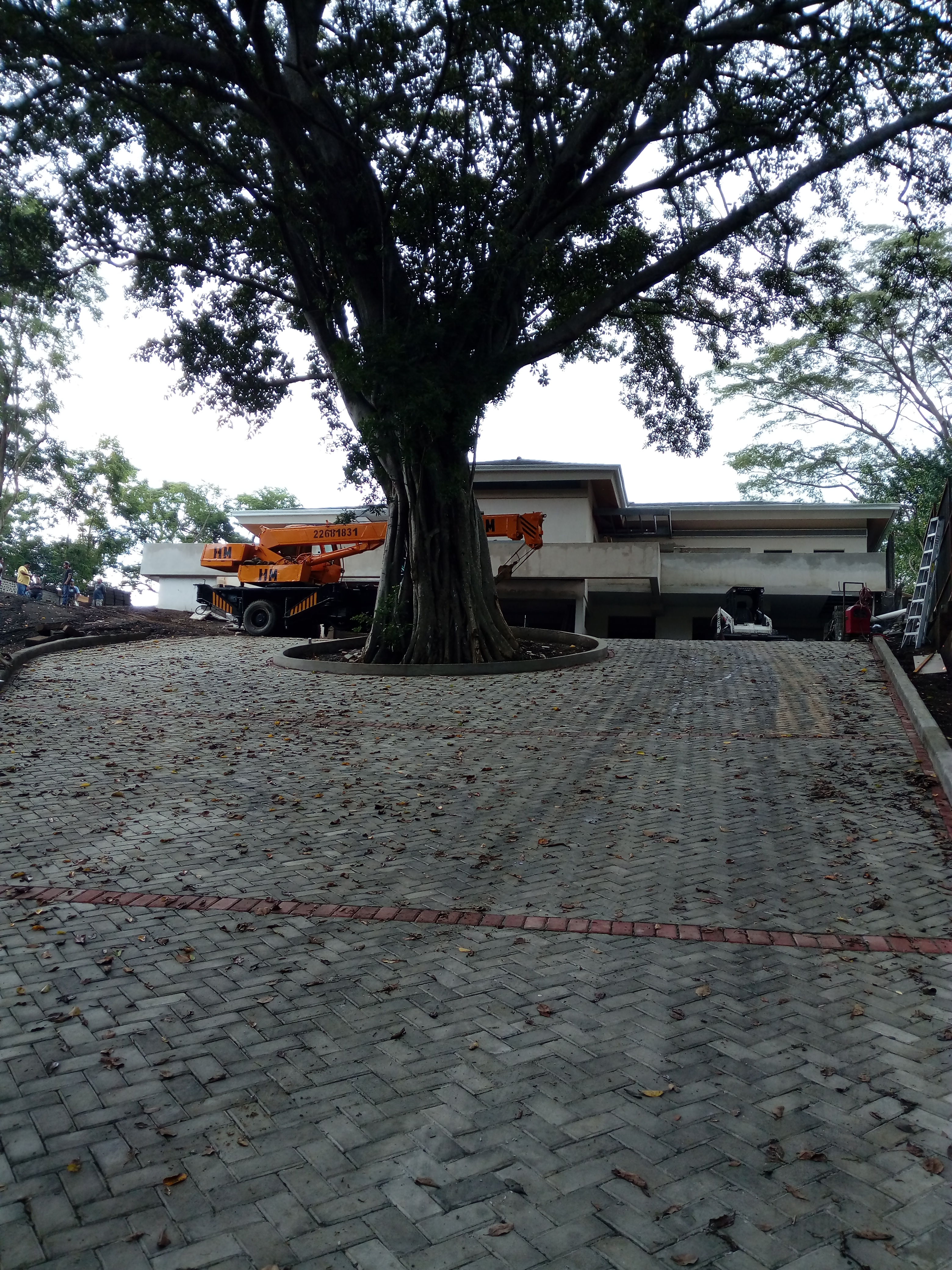 Residencia Rj16 by Won arquitectos - Architizer