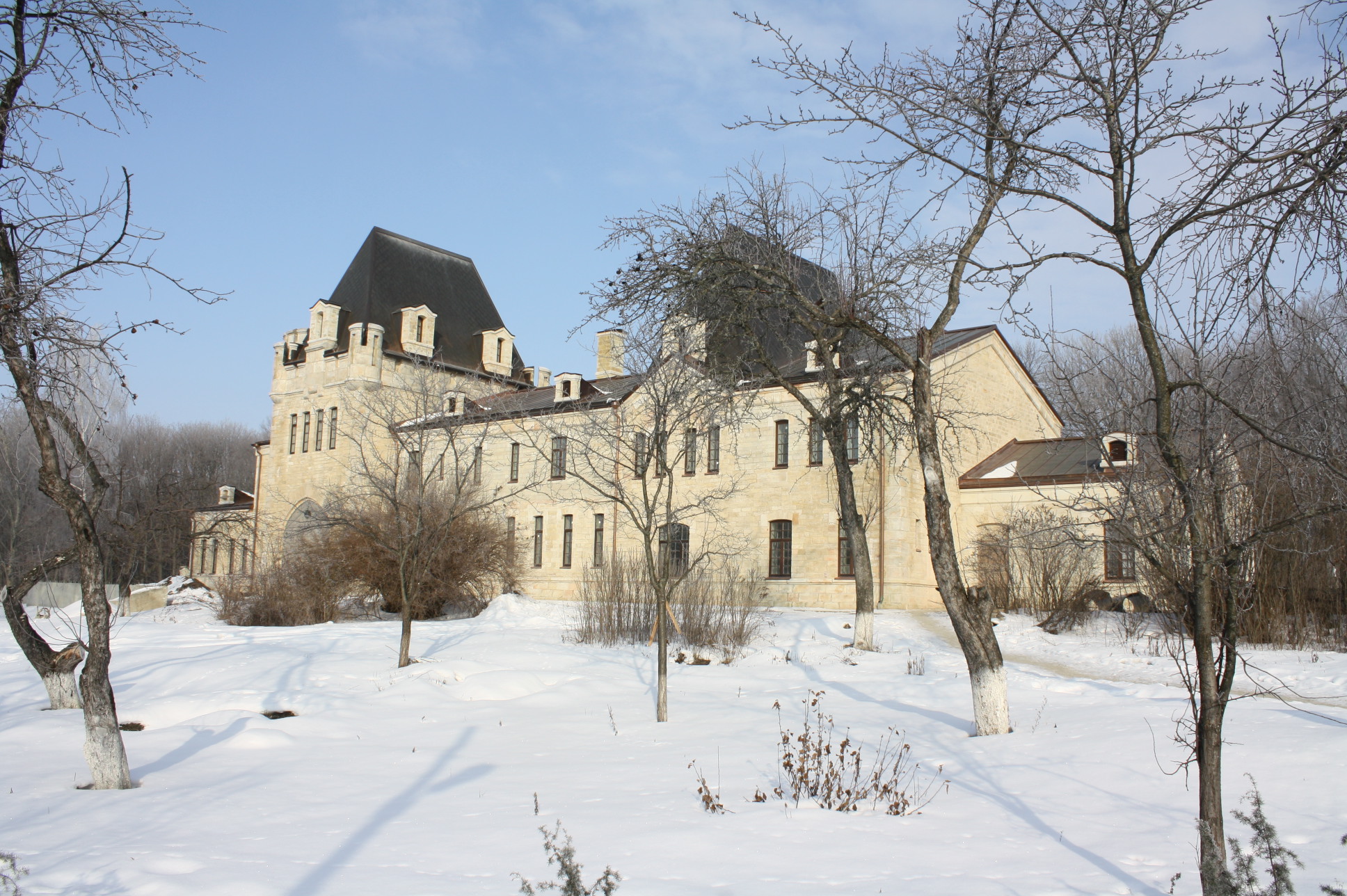 Idea 1759508: Castle in Borki by IV architects in Russia - Architizer