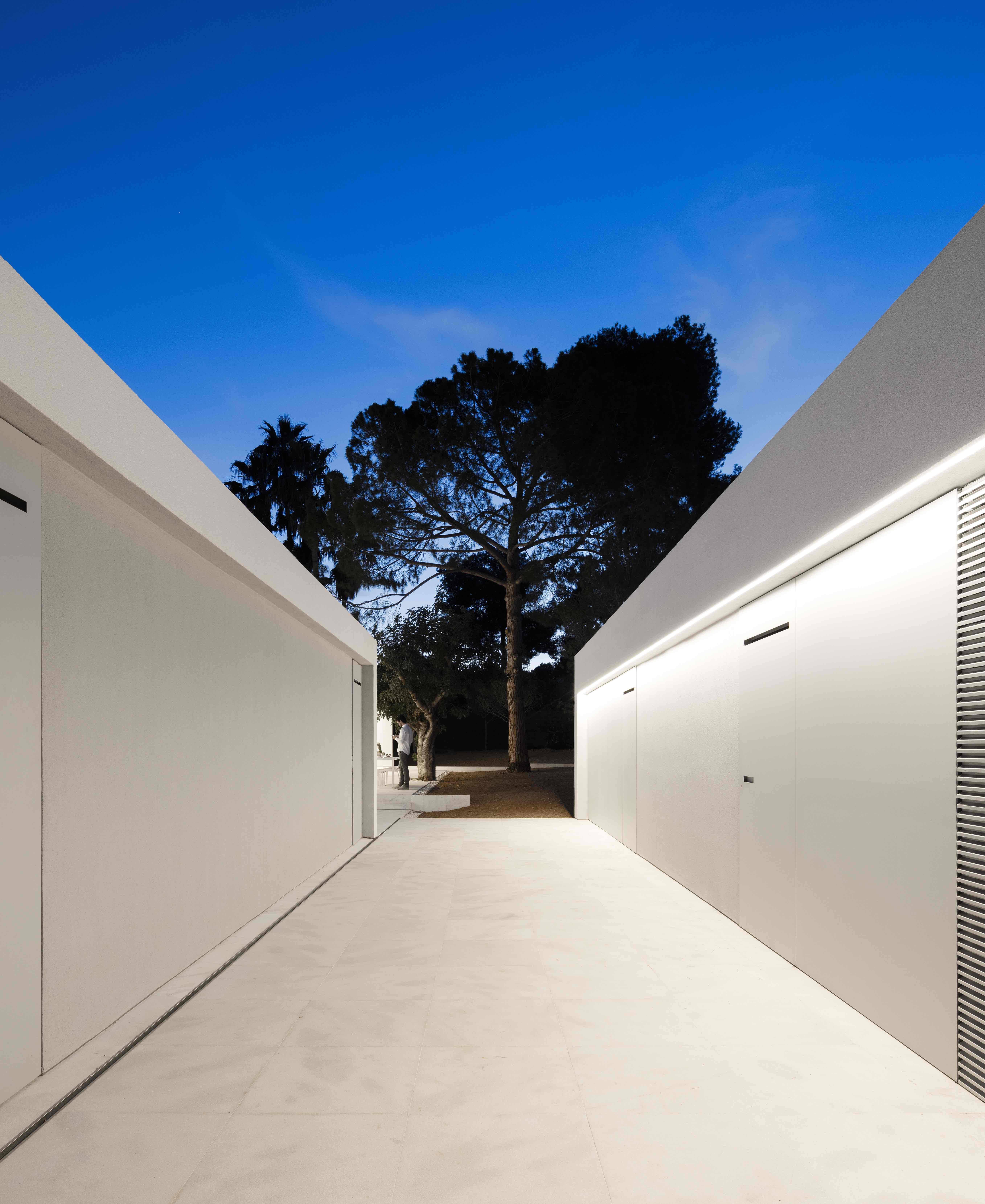 House between the pine forest by Fran Silvestre Arquitectos - Architizer