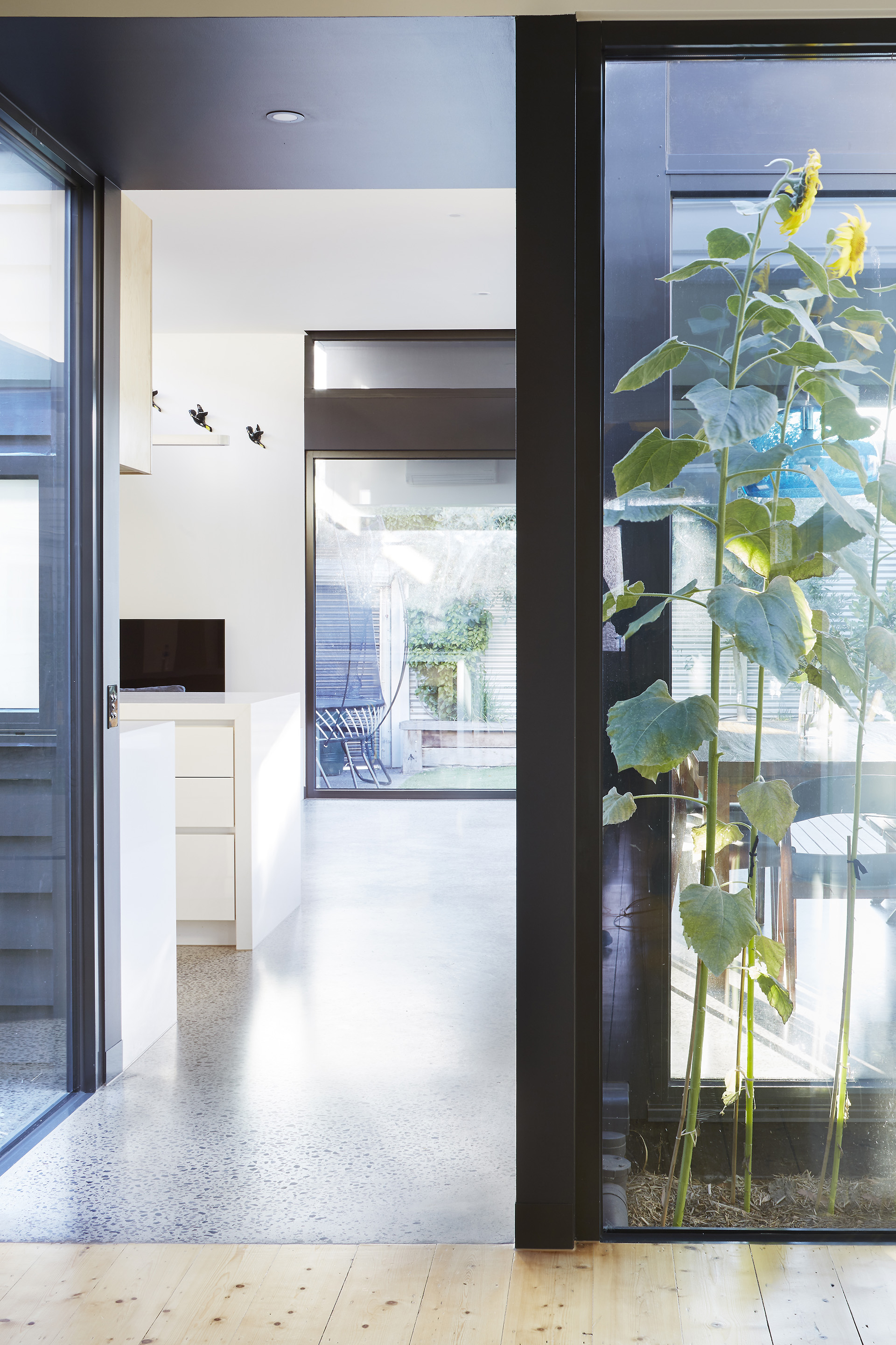 Pod House by Nic Owen Architects - Architizer