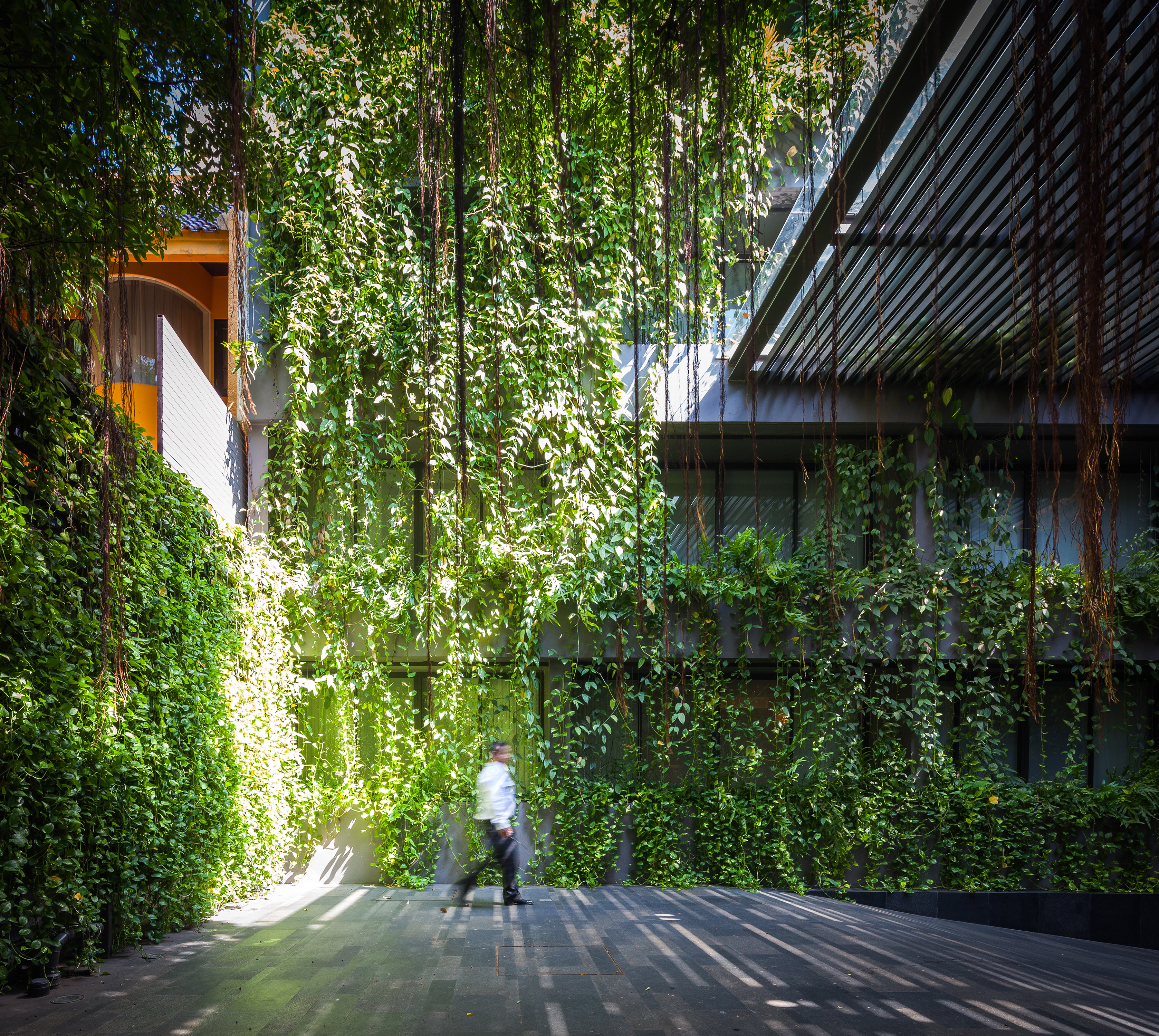 Under the Ficus Shade : Garden for Ad Lib Hotel by TROP terrains + open ...