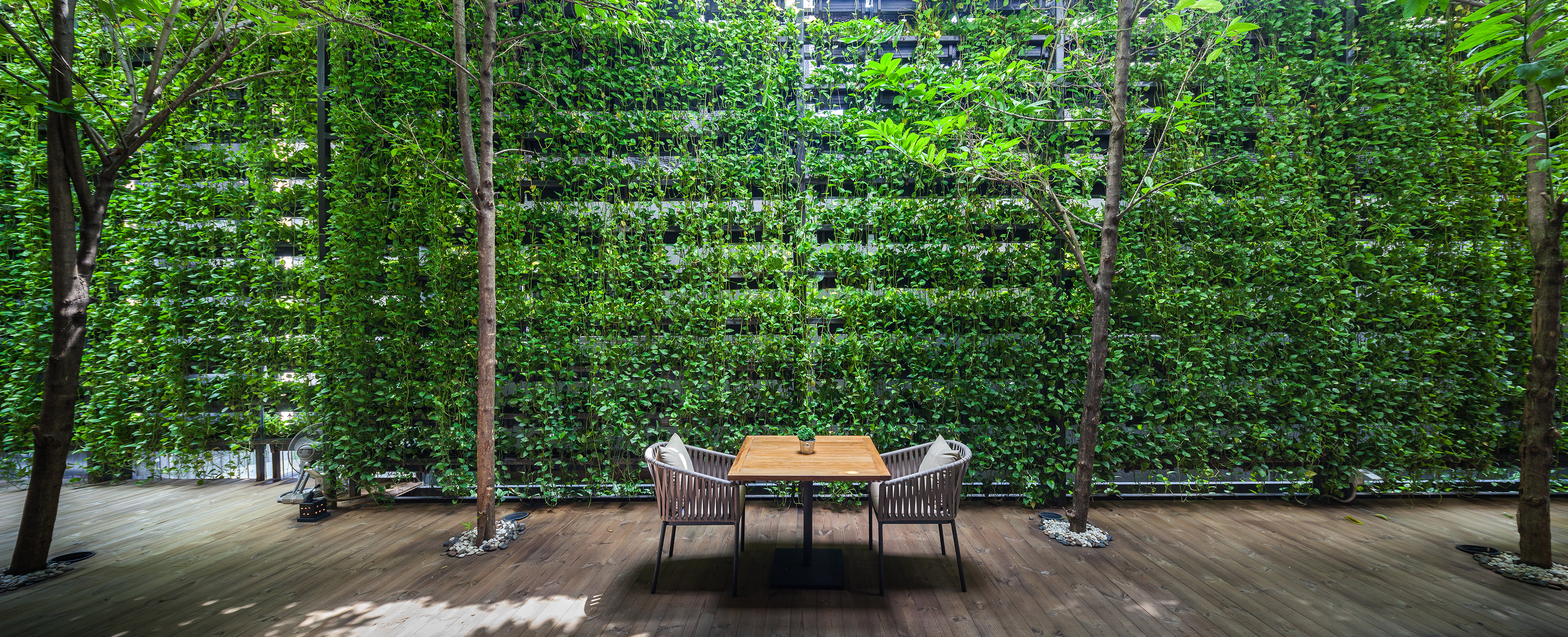 Under the Ficus Shade : Garden for Ad Lib Hotel by TROP : terrains ...