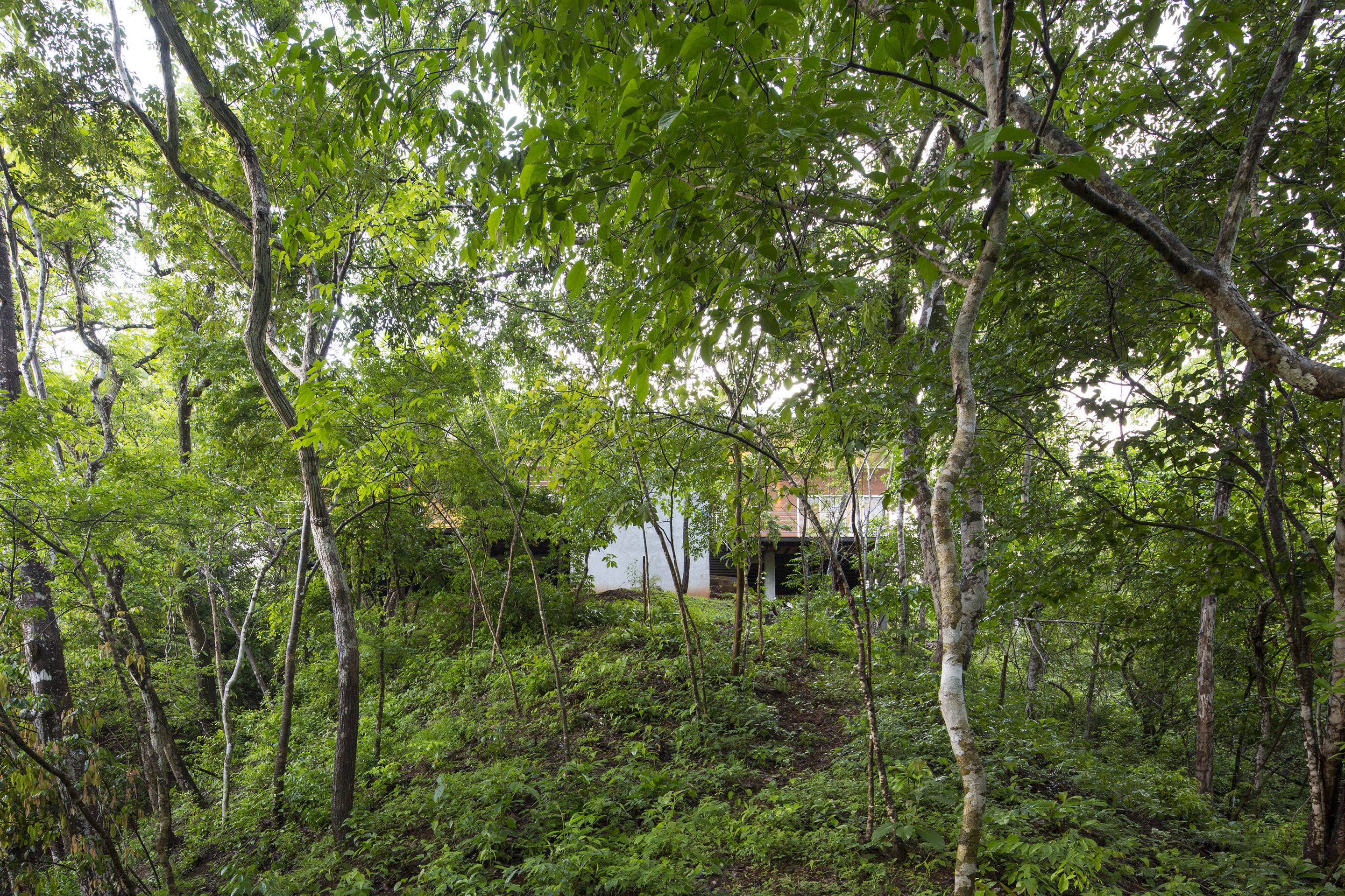 Seagull House by Indigo Arquitectura - Architizer