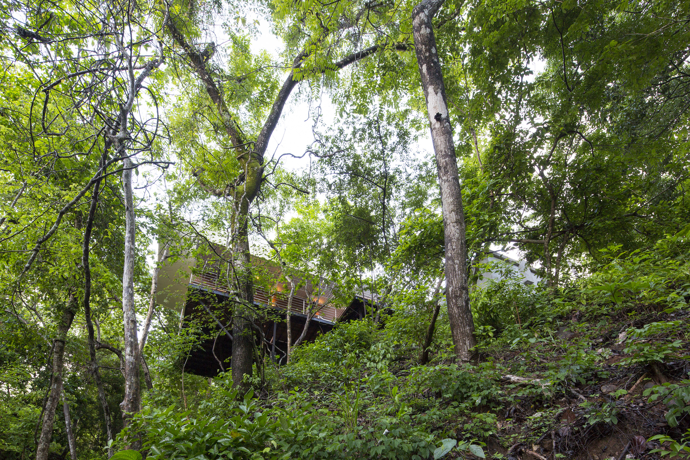 Seagull House by Indigo Arquitectura - Architizer