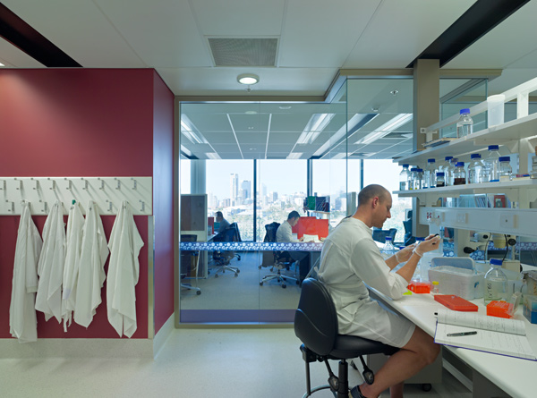 QIMR Berghofer Medical Research Institute by Wilson Architects - Architizer