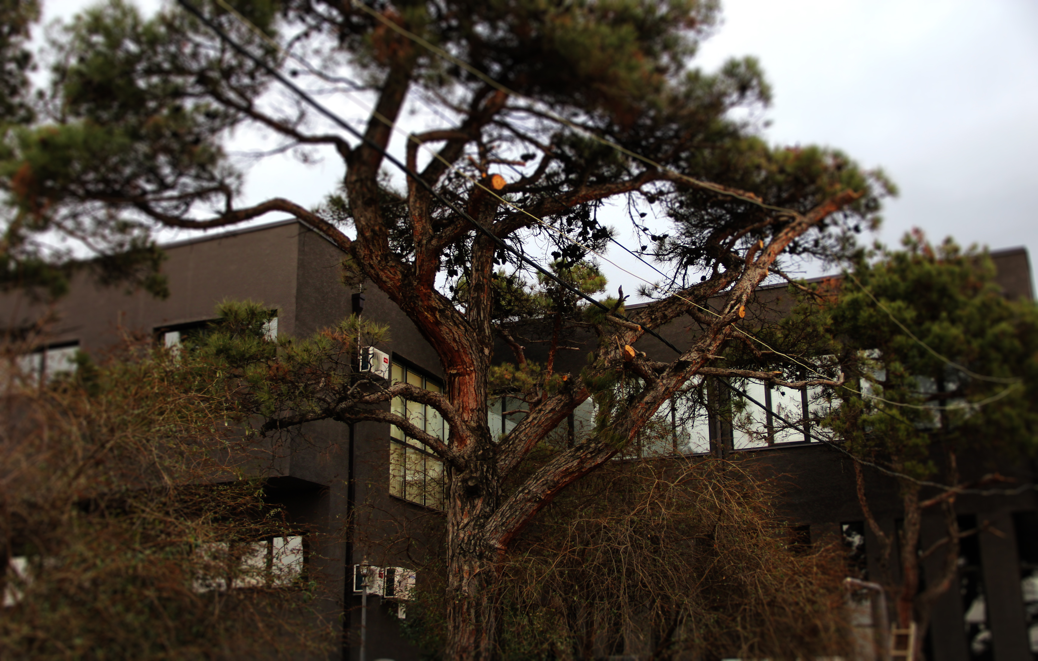 Police building by Wall Architecture - Architizer