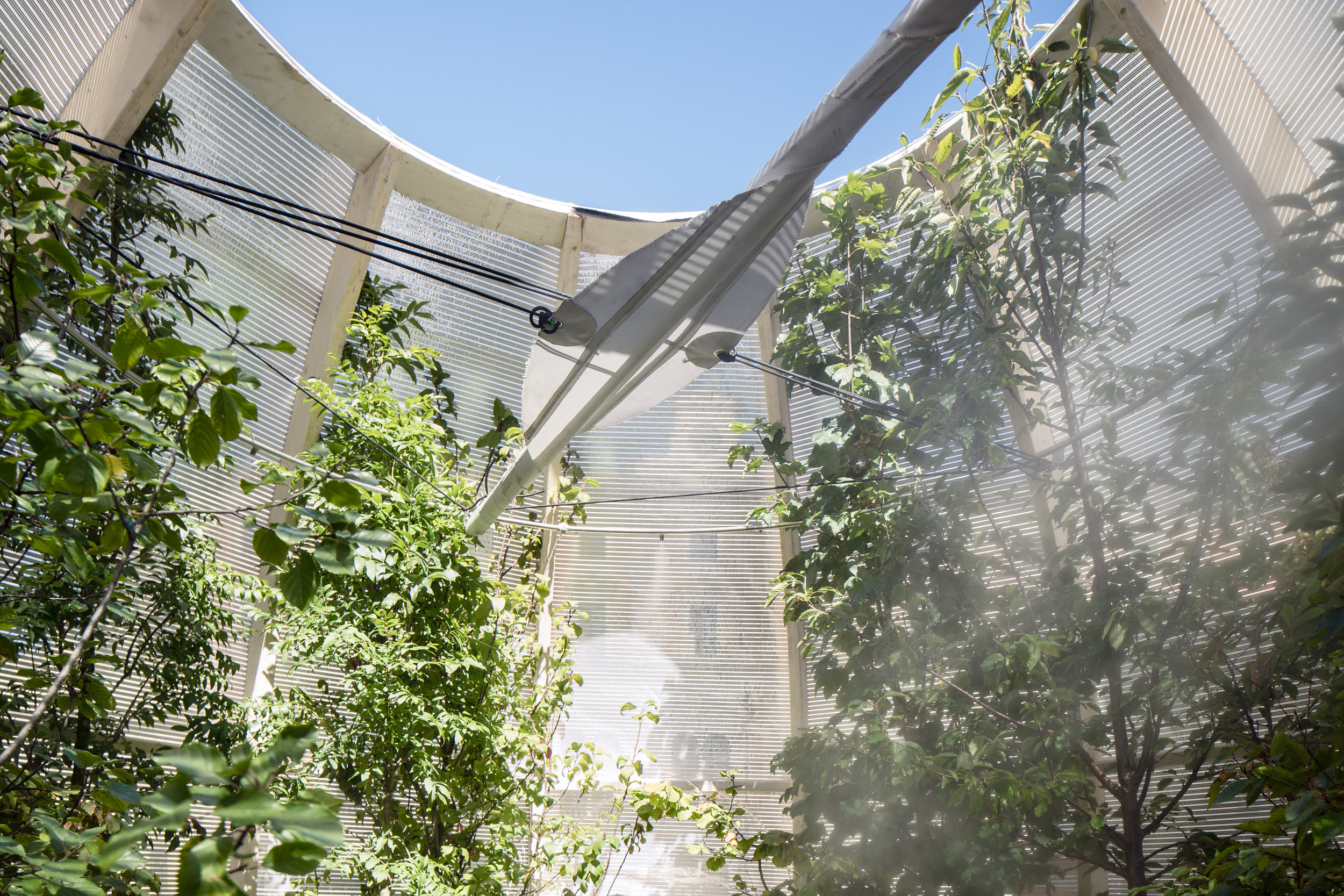 Airship 01 - a mobile forest by breathe.earth.collective - Architizer