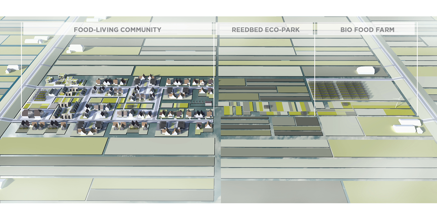 Resilient Suburbia - The Polder Model by dutch urban solutions - Architizer